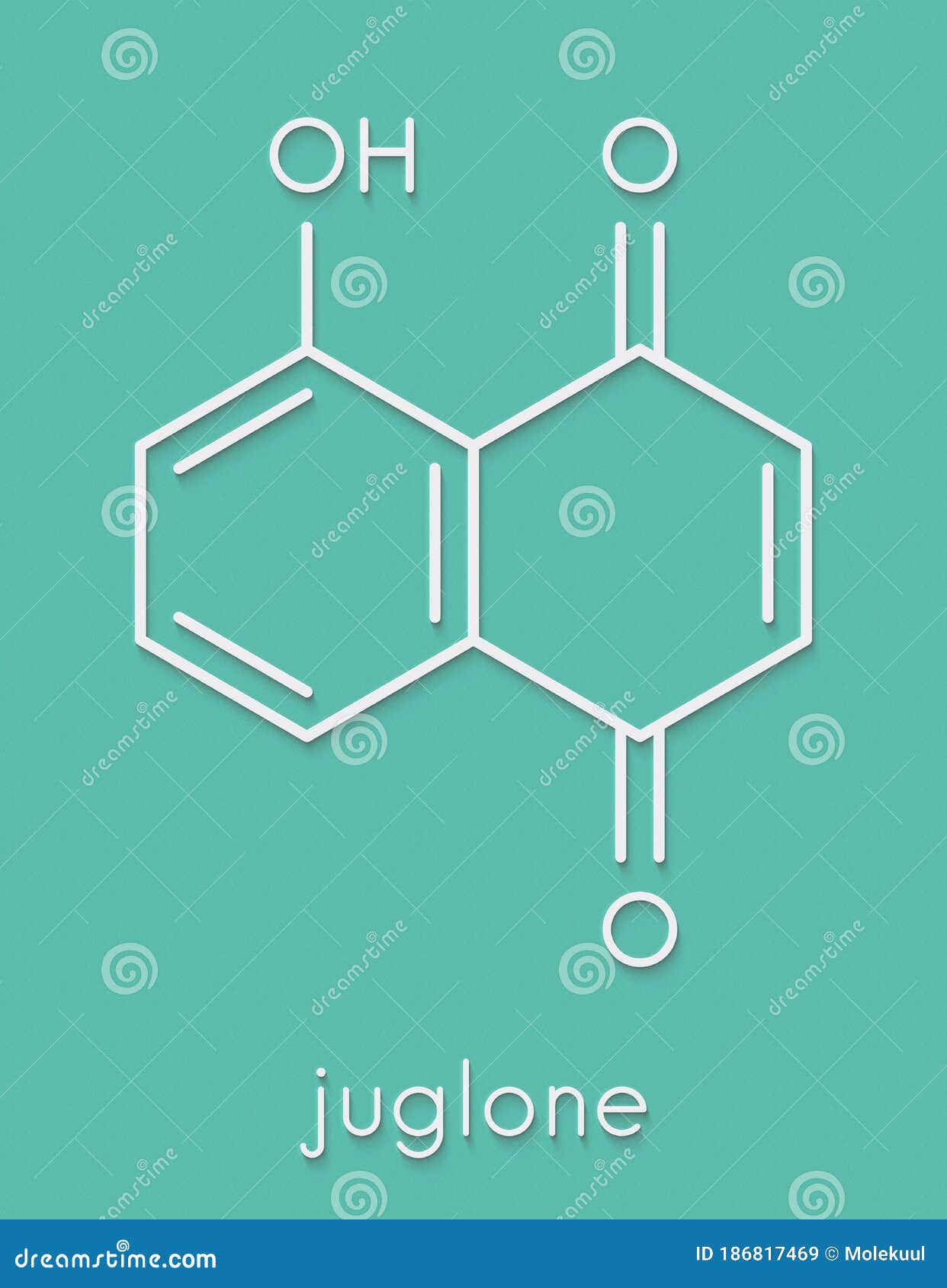 Juglandaceae Cartoons, Illustrations & Vector Stock Images - 16 ...