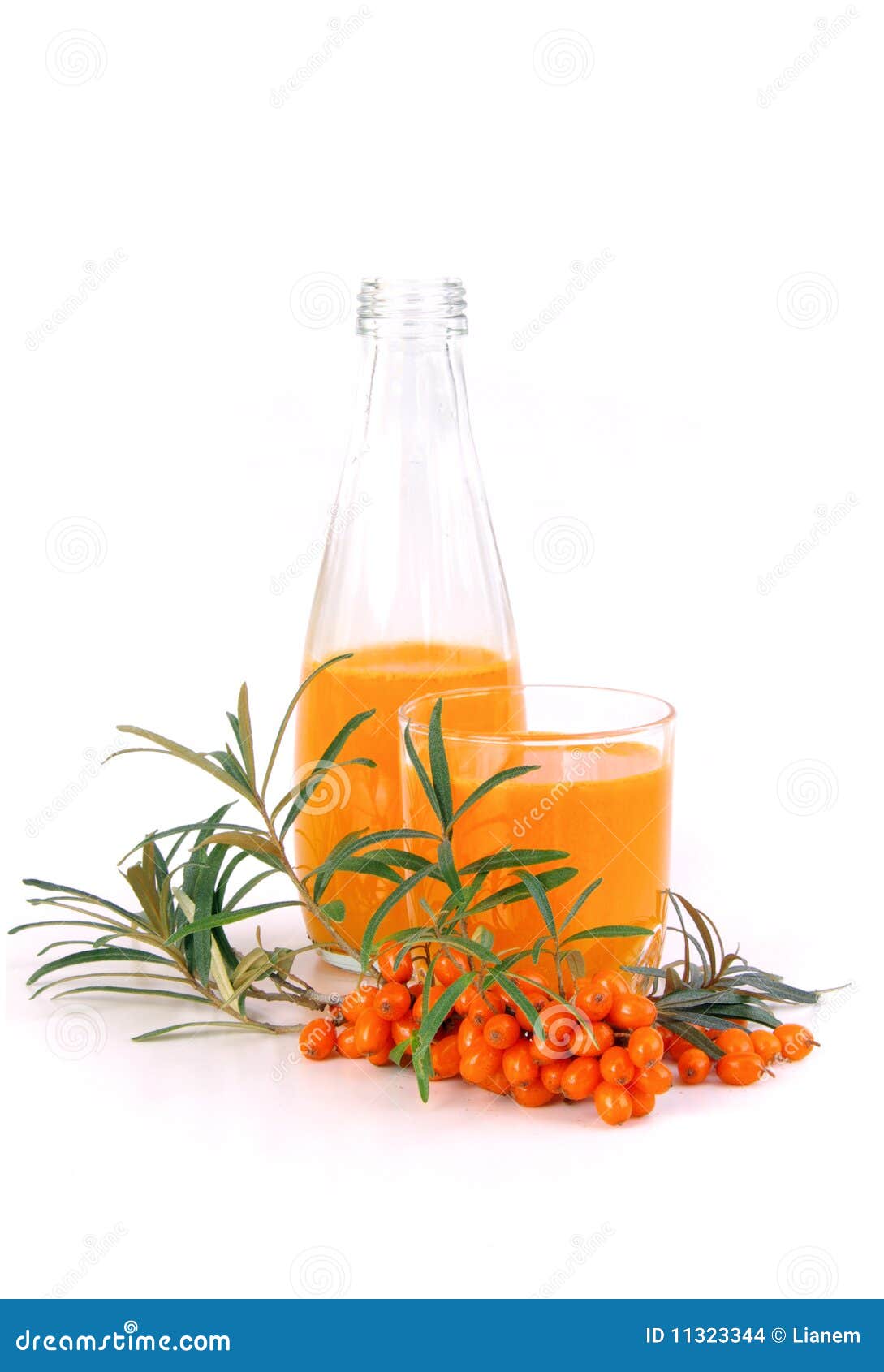 Jugo cetrino de la espina foto de archivo. Imagen de enfermo - 11323344