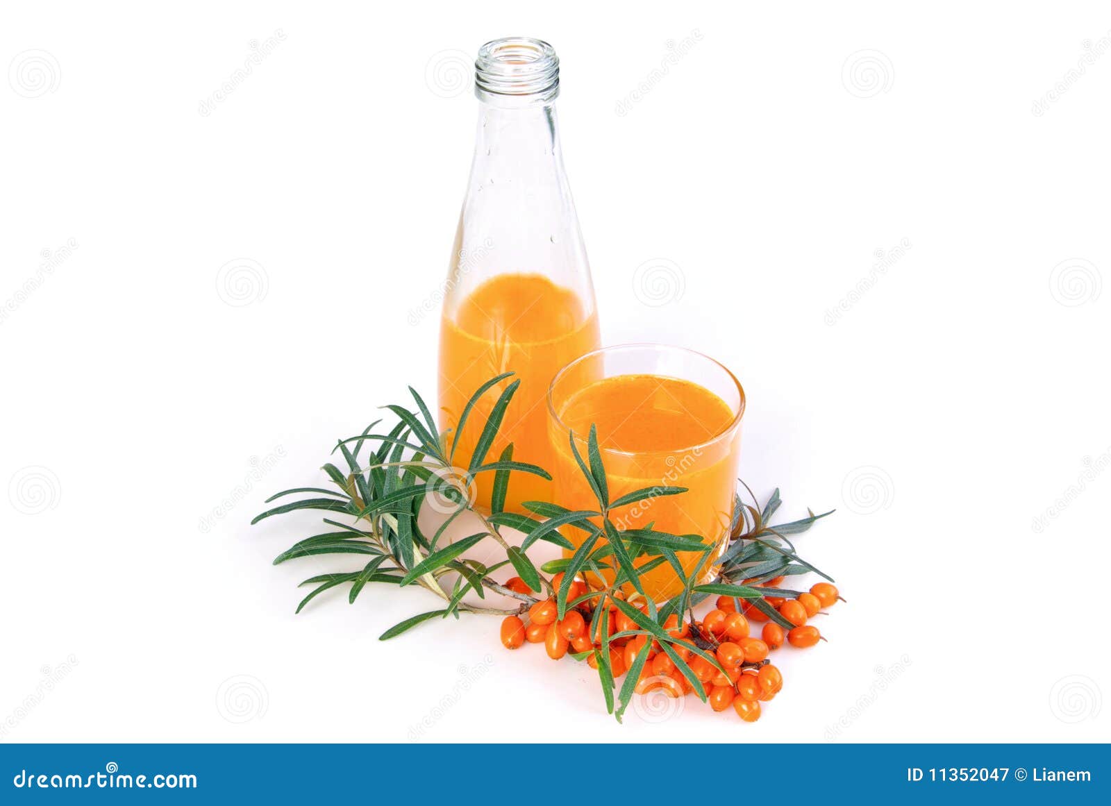 Jugo cetrino de la espina imagen de archivo. Imagen de bebida - 11352047