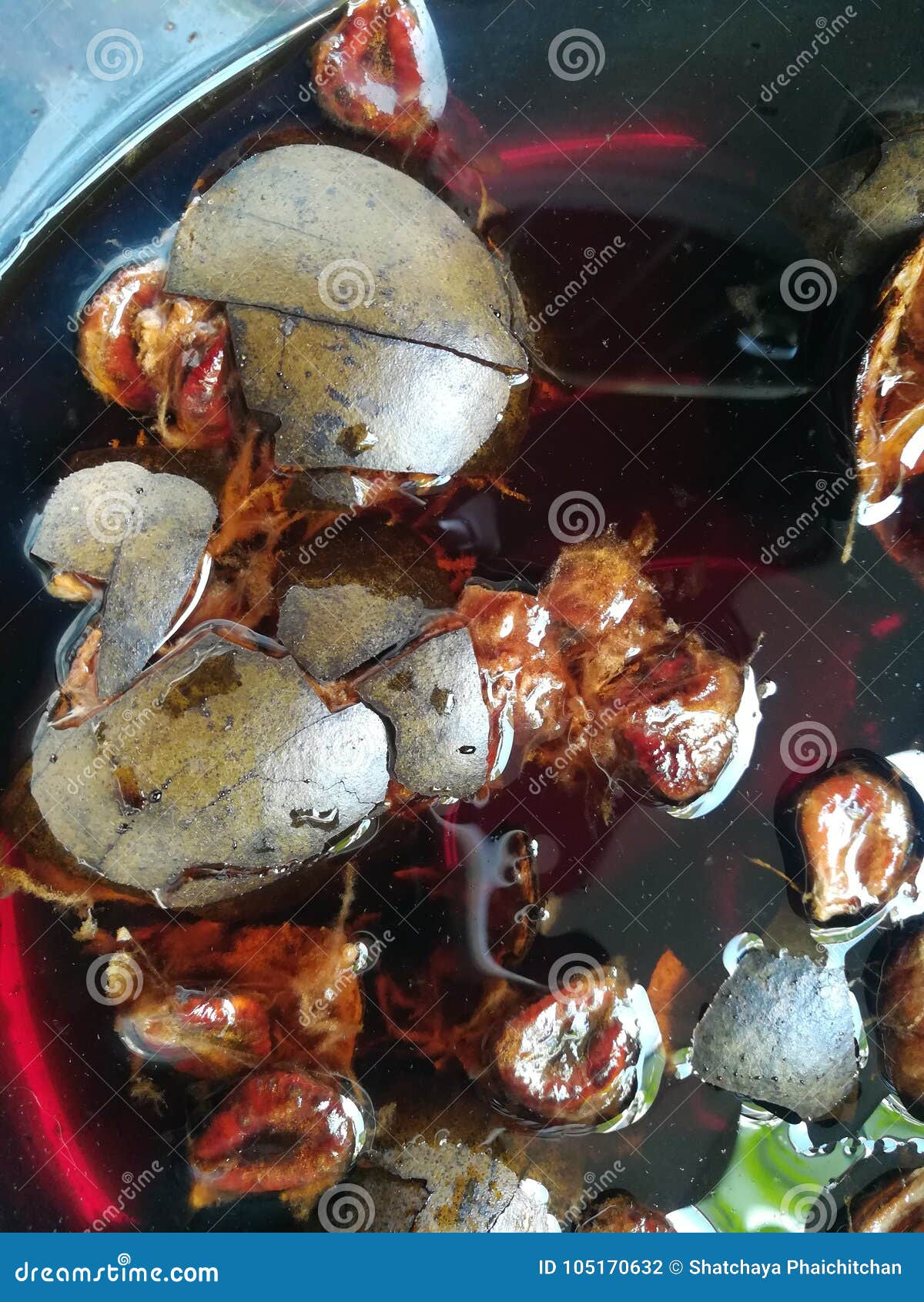 Juice from arhat fruit, stock photo. Image of arhat - 105170632