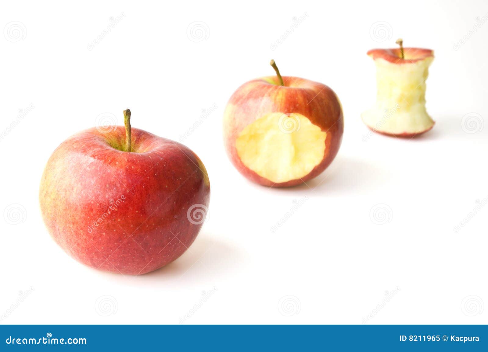 Juicy Apple Munching stock image. Image of fruit, crisp - 8211965