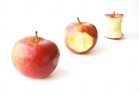 Juicy Apple Munching stock image. Image of fruit, crisp - 8211965