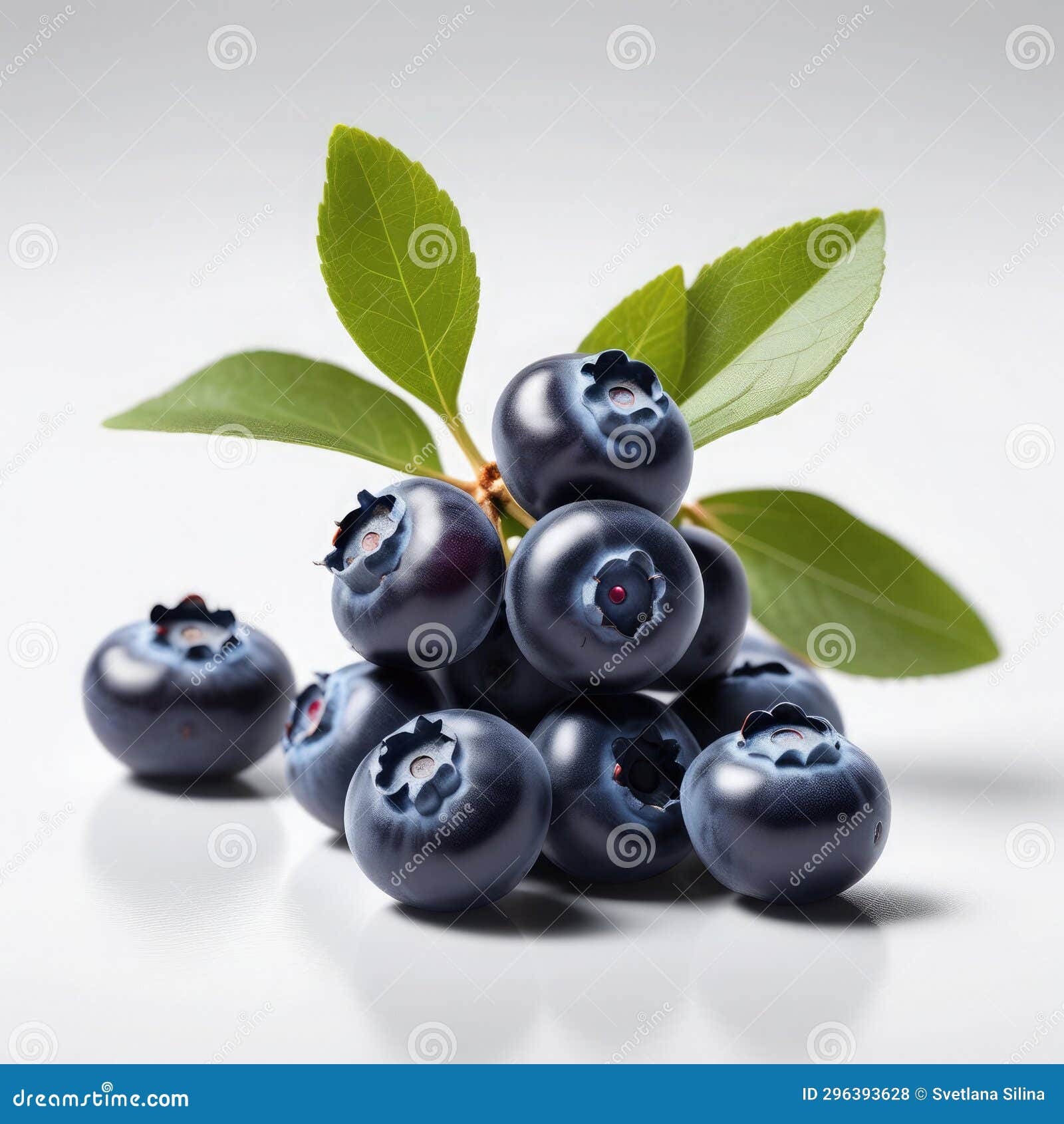 Juicy Bright Blueberries on White Background Stock Illustration ...