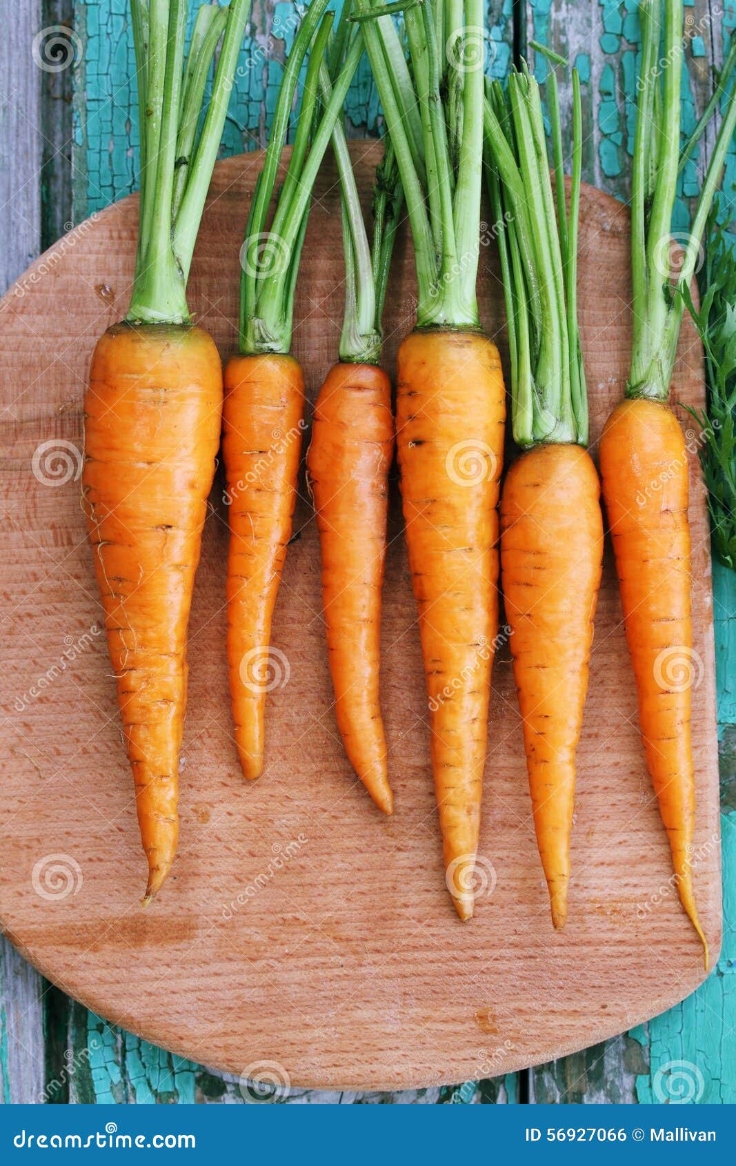 Juicy carrots, top view stock photo. Image of board, healthy - 56927066