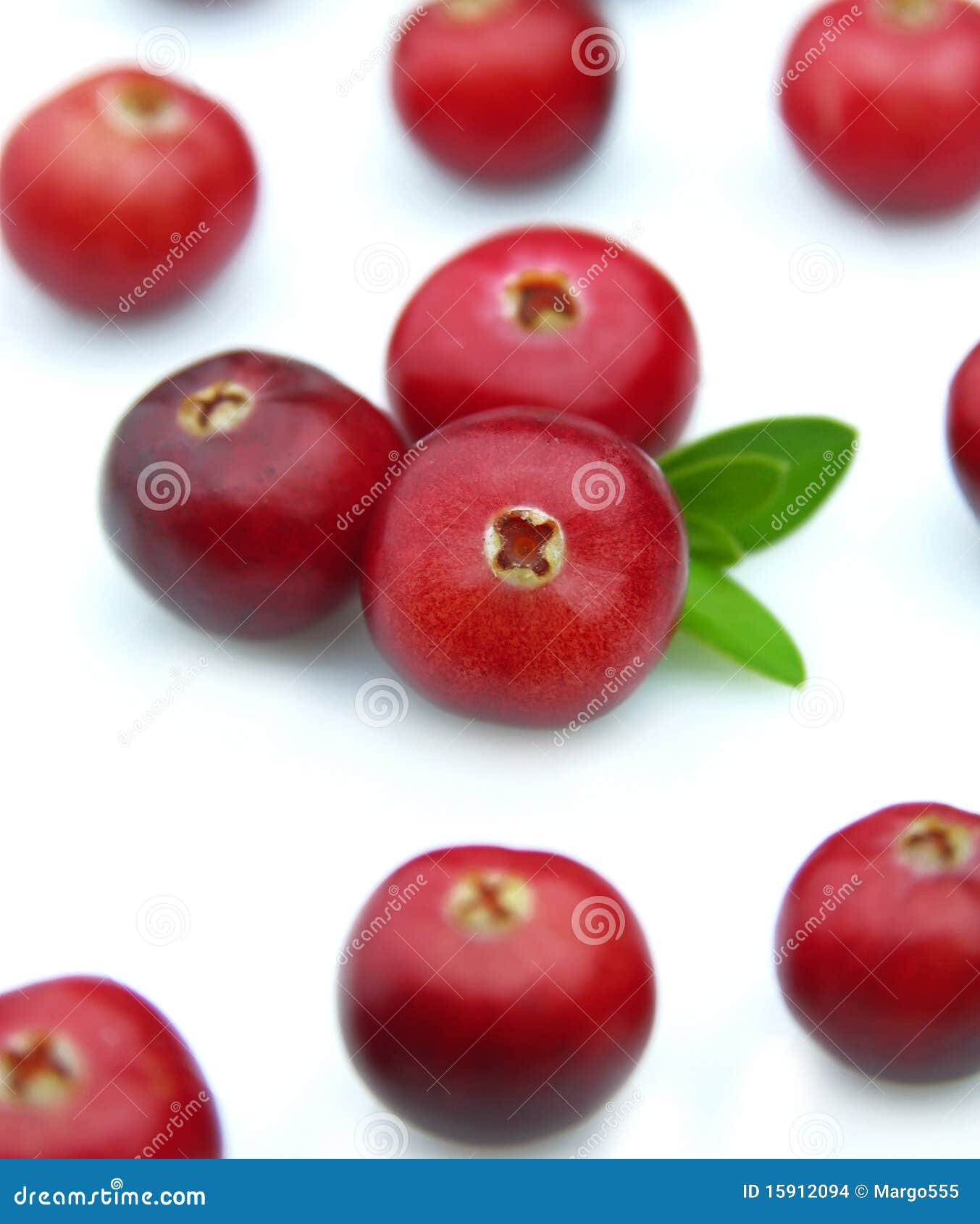 Juicy cranberry stock photo. Image of healthy, season - 15912094