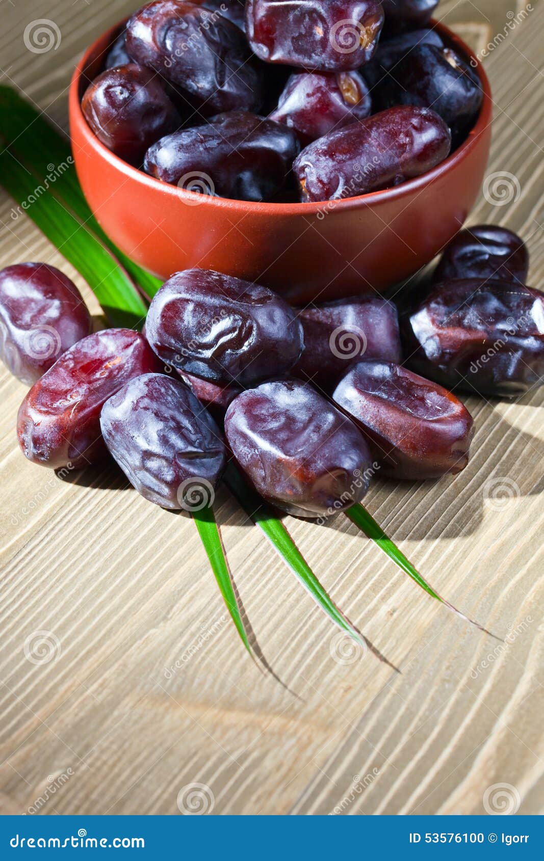Juicy dates stock photo. Image of dates, heap, closeup - 53576100