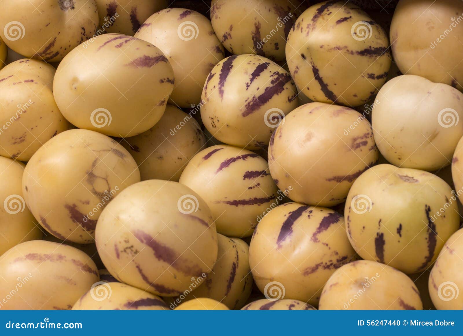 Juicy, Fresh Fruit Pepino Melon on a Peruvian Market. Stock Photo ...