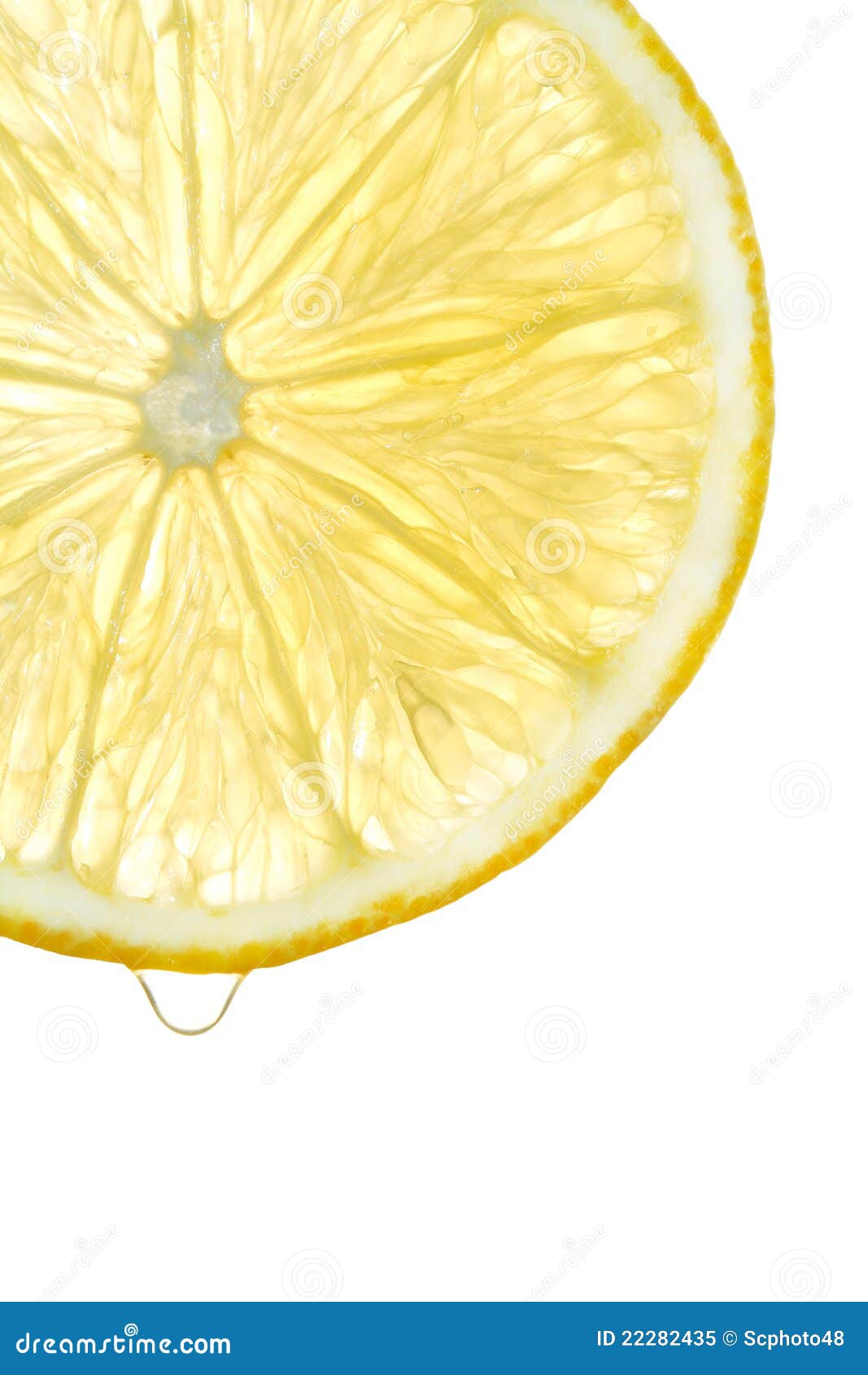 Juicy fresh lemon slice stock image. Image of delicious - 22282435