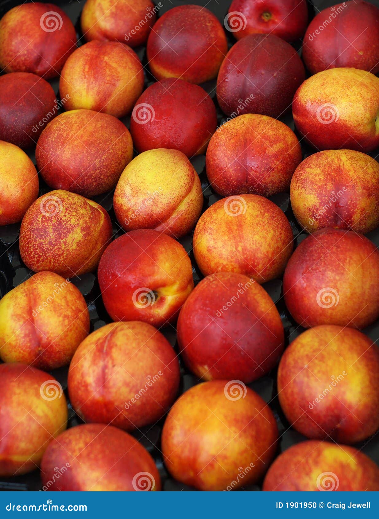 Juicy Fruit stock photo. Image of nectarines, fruit, colorful - 1901950