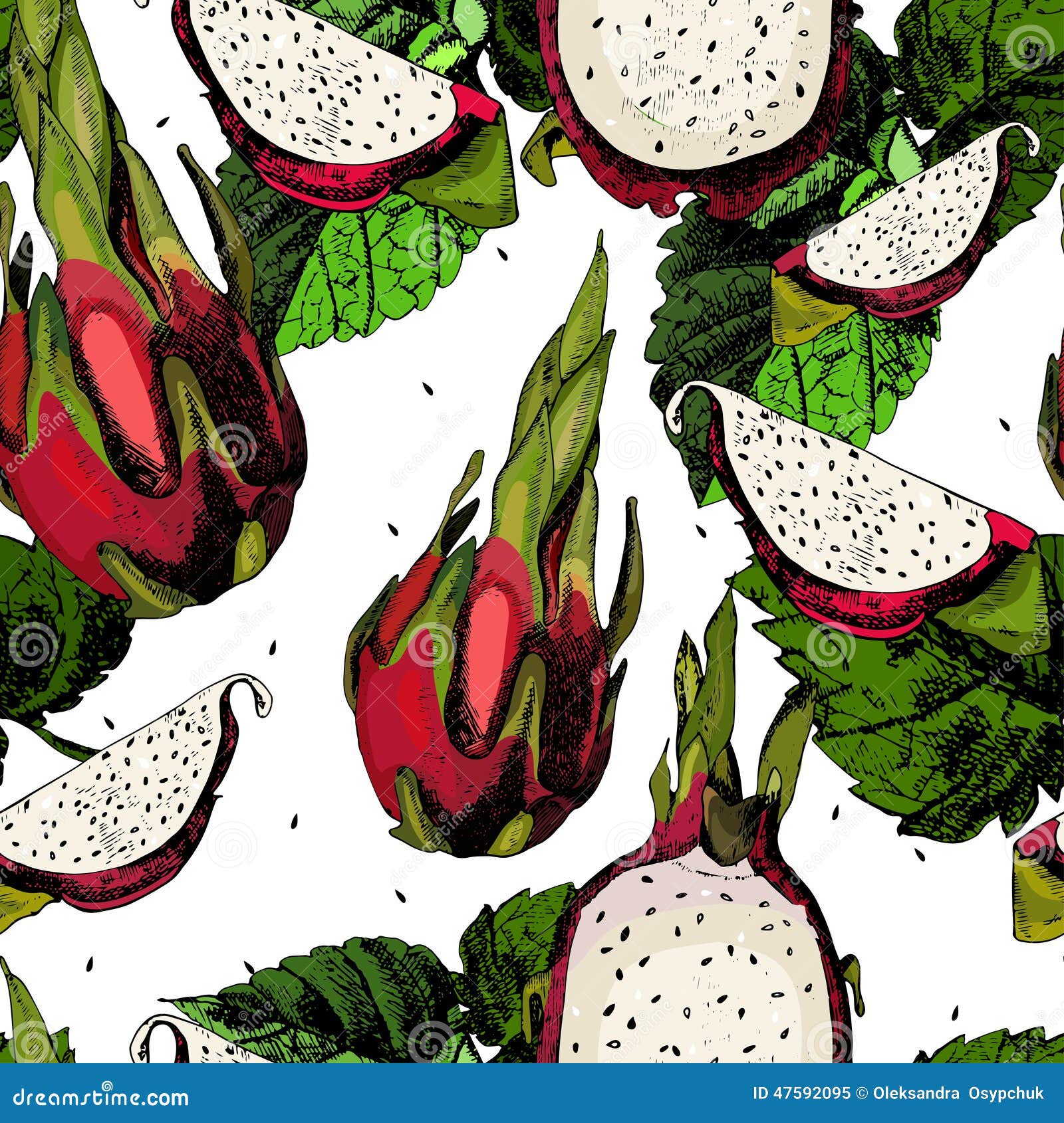 The Fruit Of Pitahaya On A White Background With The Word Pitaya ...