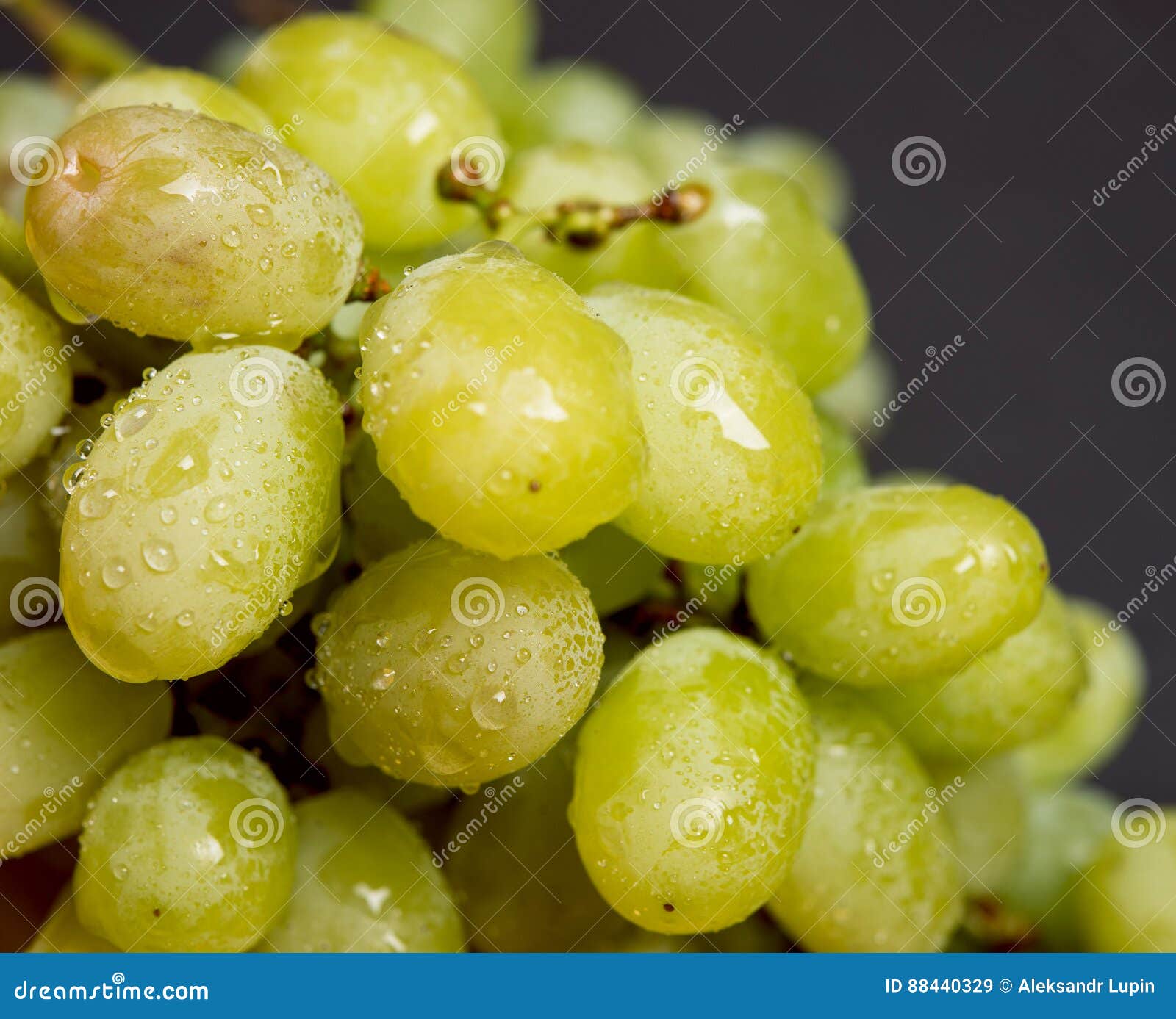 Juicy grap stock image. Image of vine, food, drops, vitamin - 88440329