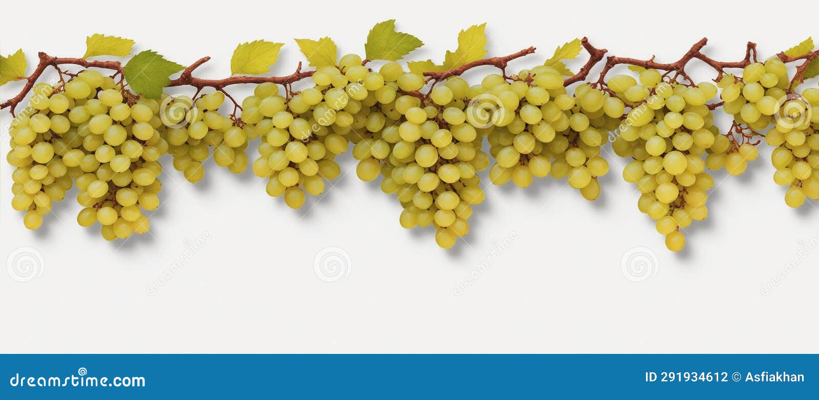 Juicy Grapes Banner Top Frame Stock Illustration - Illustration of ...