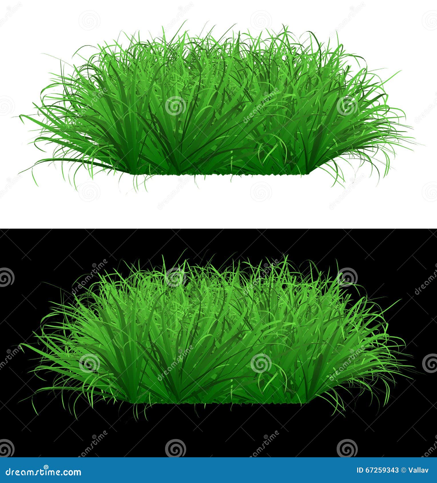 Juicy Green Grass on Isolated Background Stock Illustration ...
