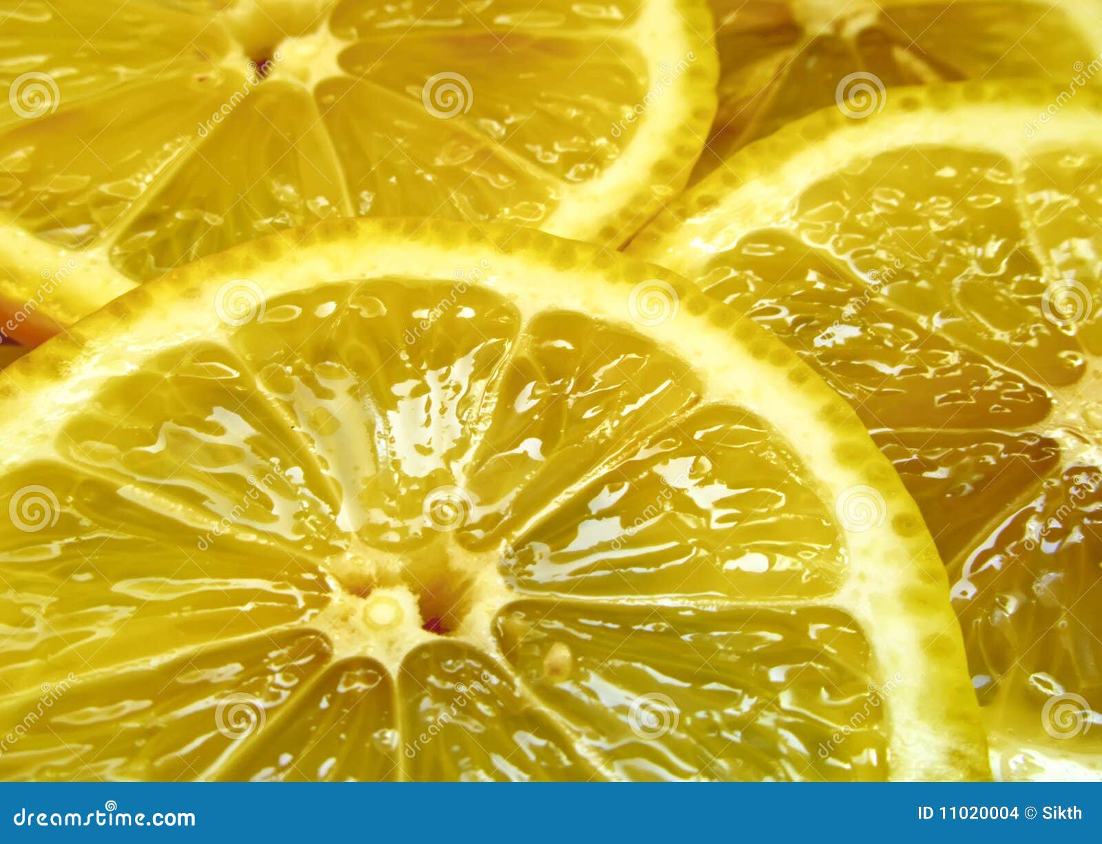 Juicy Lemon Slices stock photo. Image of natural, fruit - 11020004