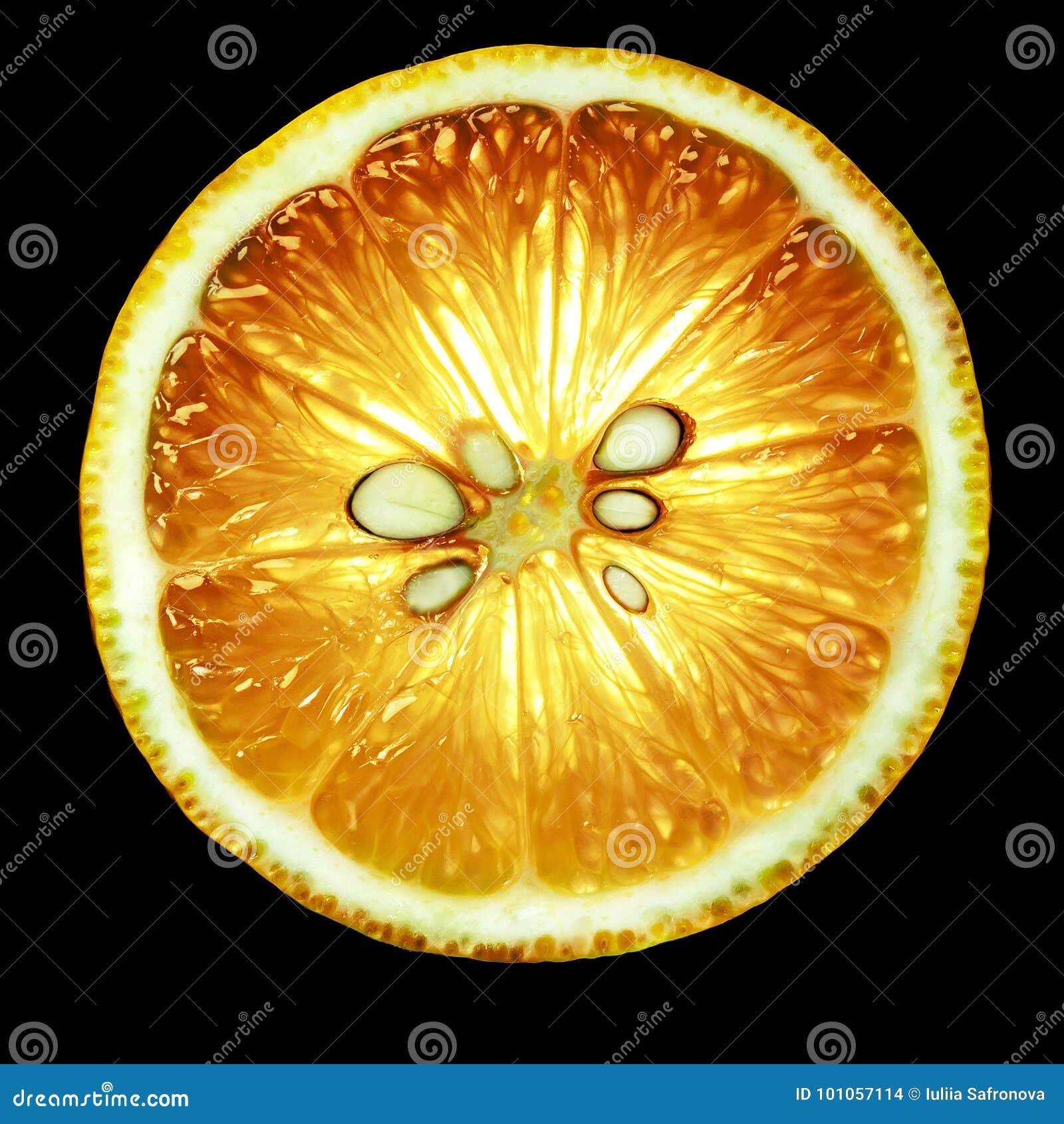 A juicy luminous orange stock photo. Image of template - 101057114