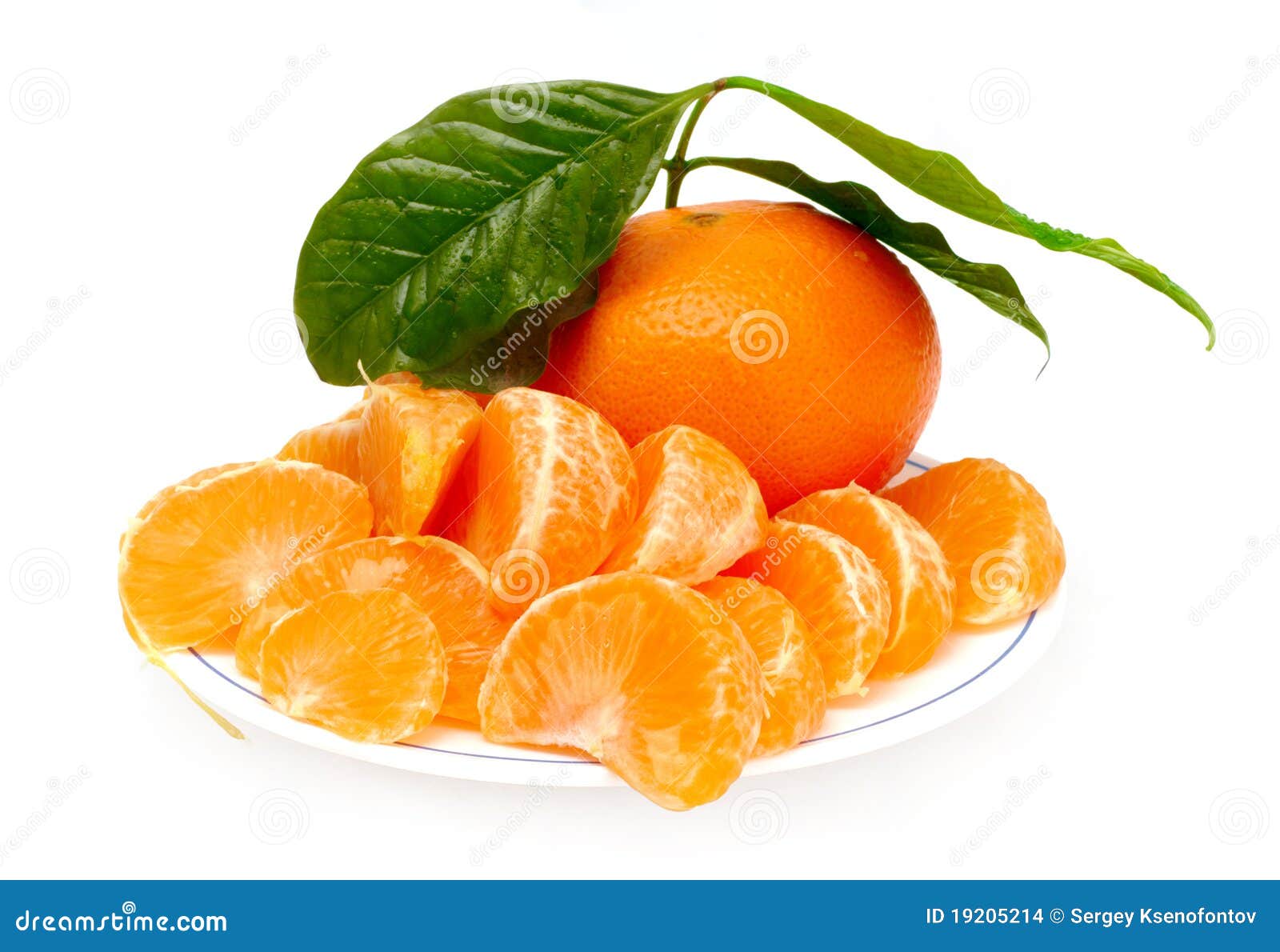 Juicy Orange stock photo. Image of fruit, color, healthy - 19205214