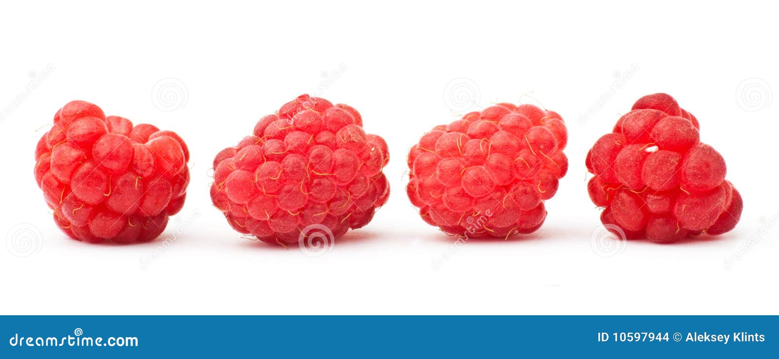 Juicy raspberries stock photo. Image of background, four - 10597944