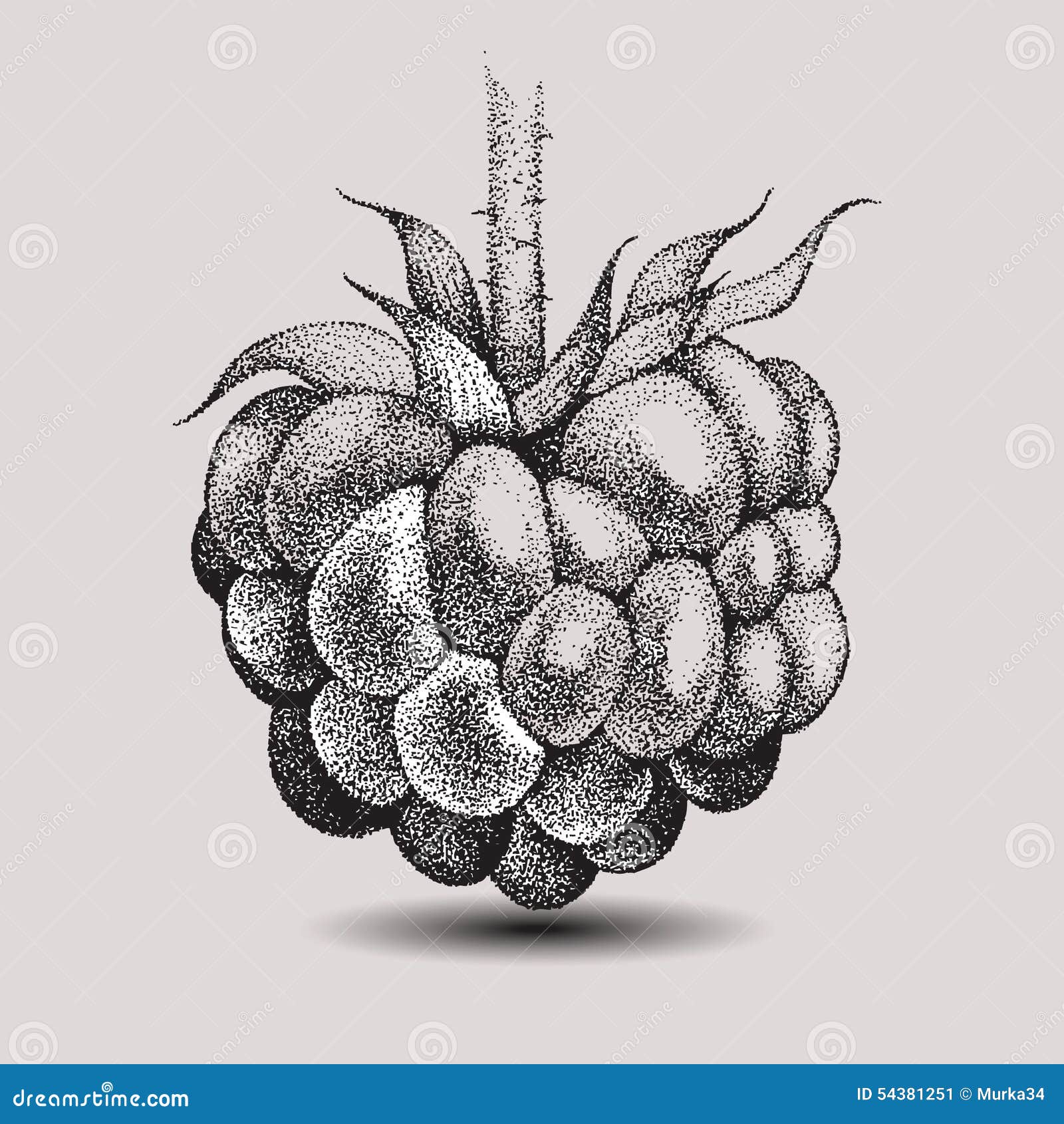 Juicy Raspberries, Hand-drawing. Vector Illustration. Stock Vector ...