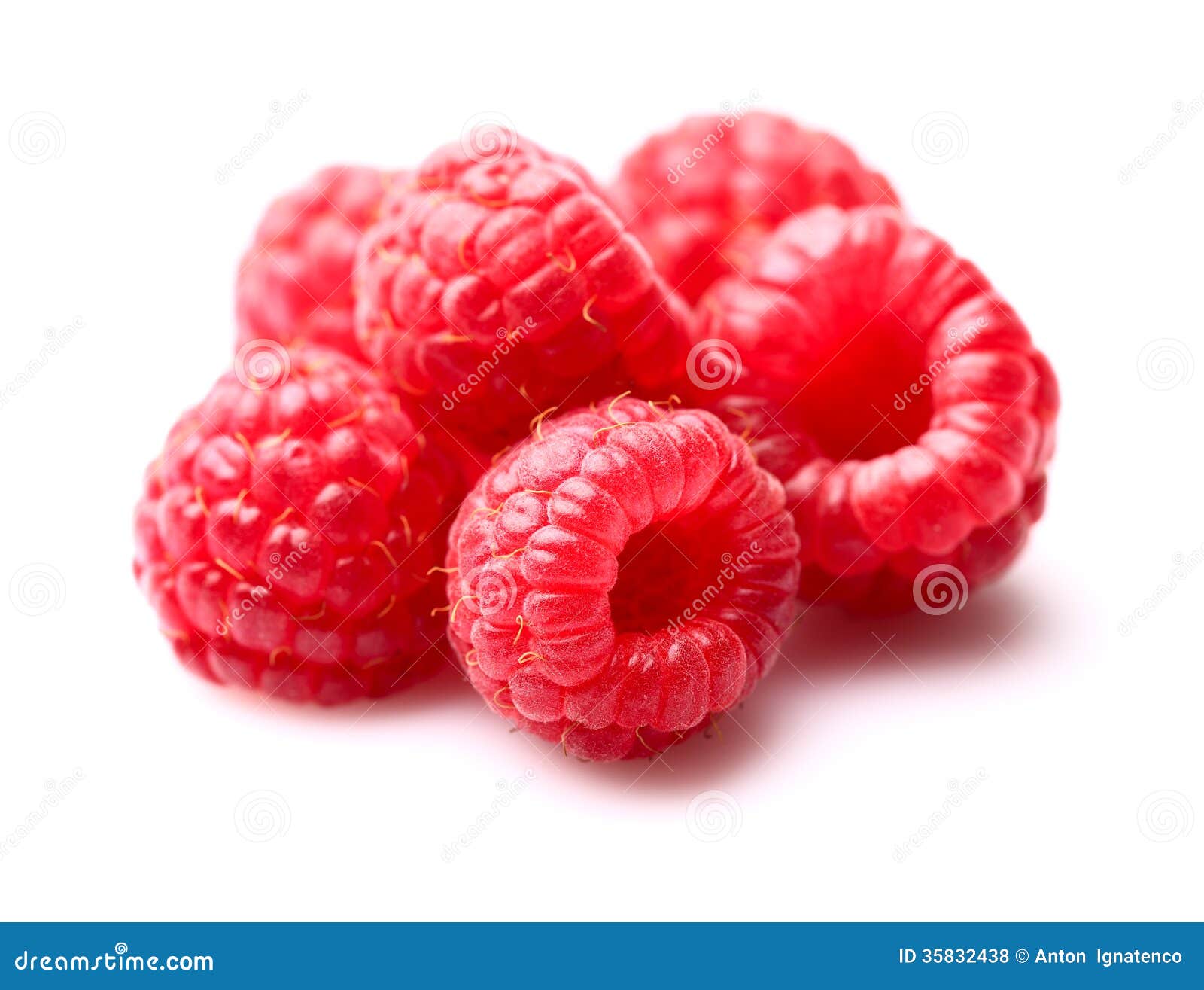 Juicy raspberry in closeup stock photo. Image of dessert - 35832438