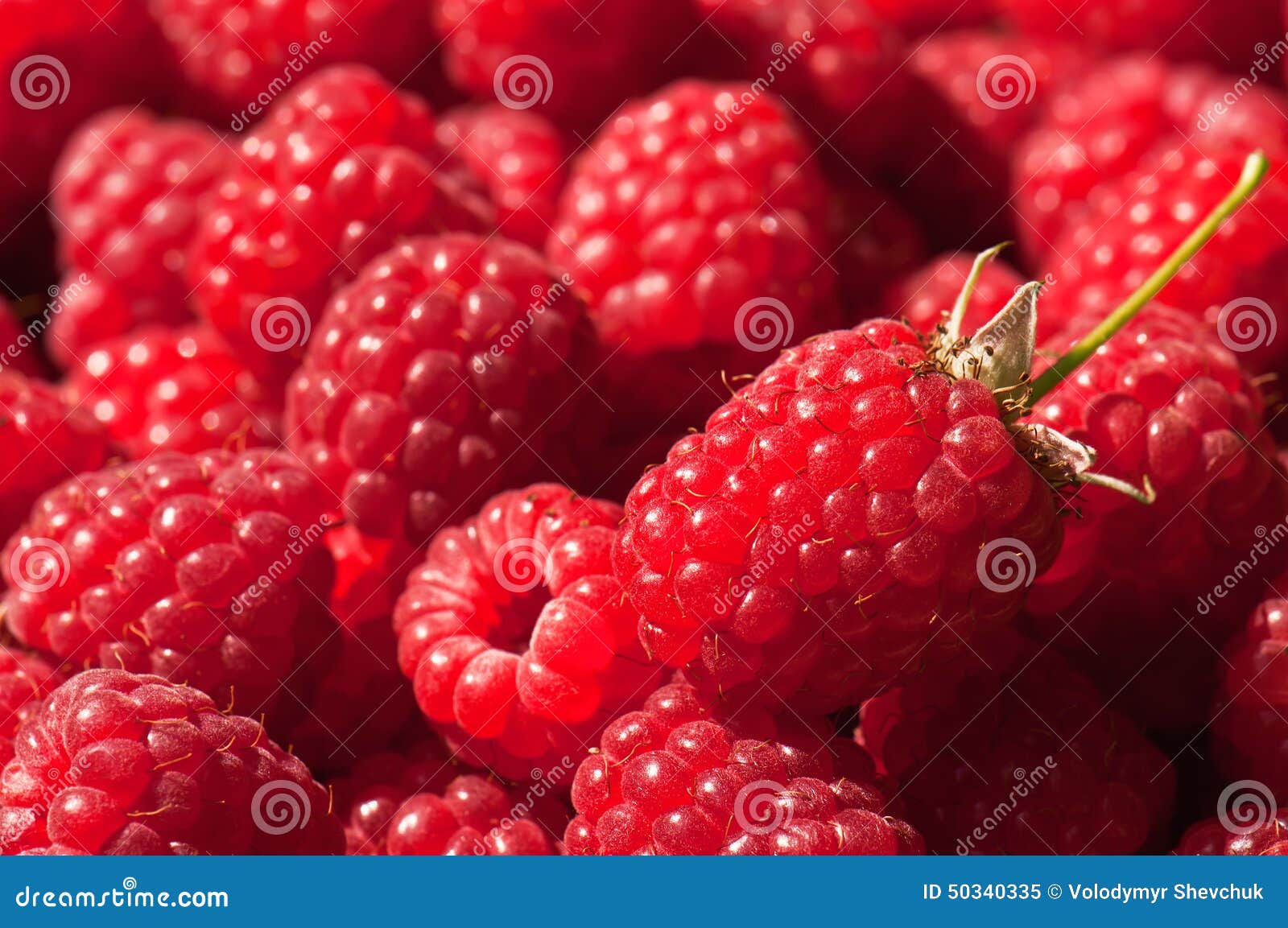 Juicy raspberry texture stock image. Image of green, clean - 50340335