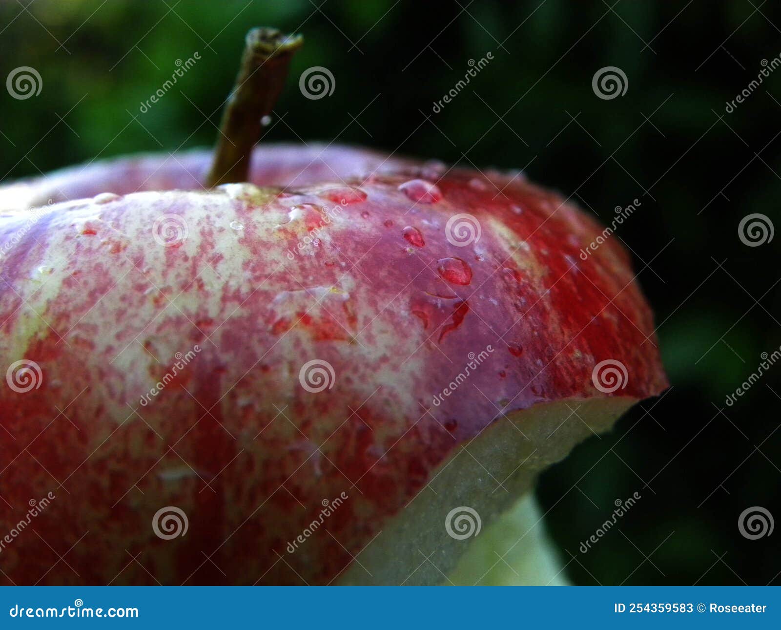 Juicy Red Apple stock image. Image of health, granny - 254359583