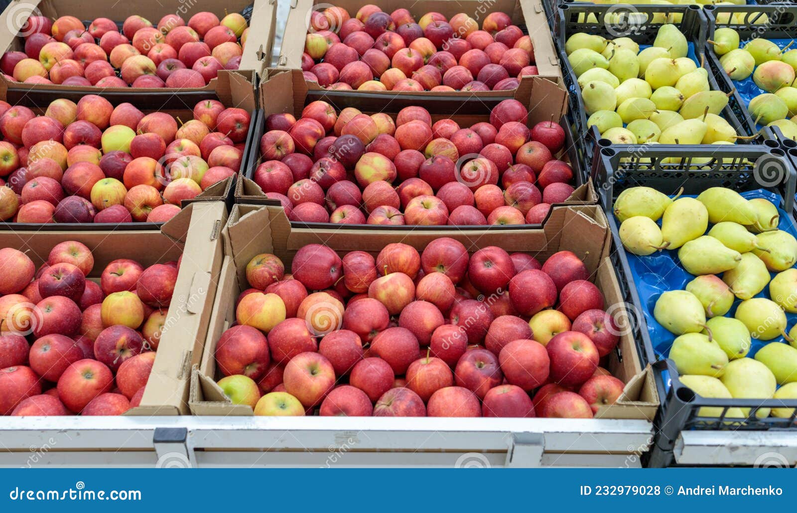 Juicy Red Apples on the Store Counter Stock Photo - Image of apple ...