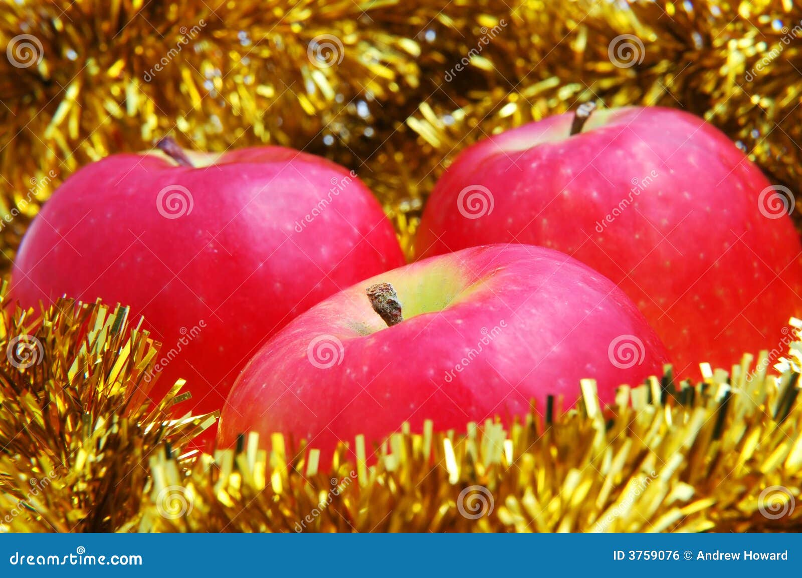Juicy red christmas apples stock photo. Image of fresh - 3759076