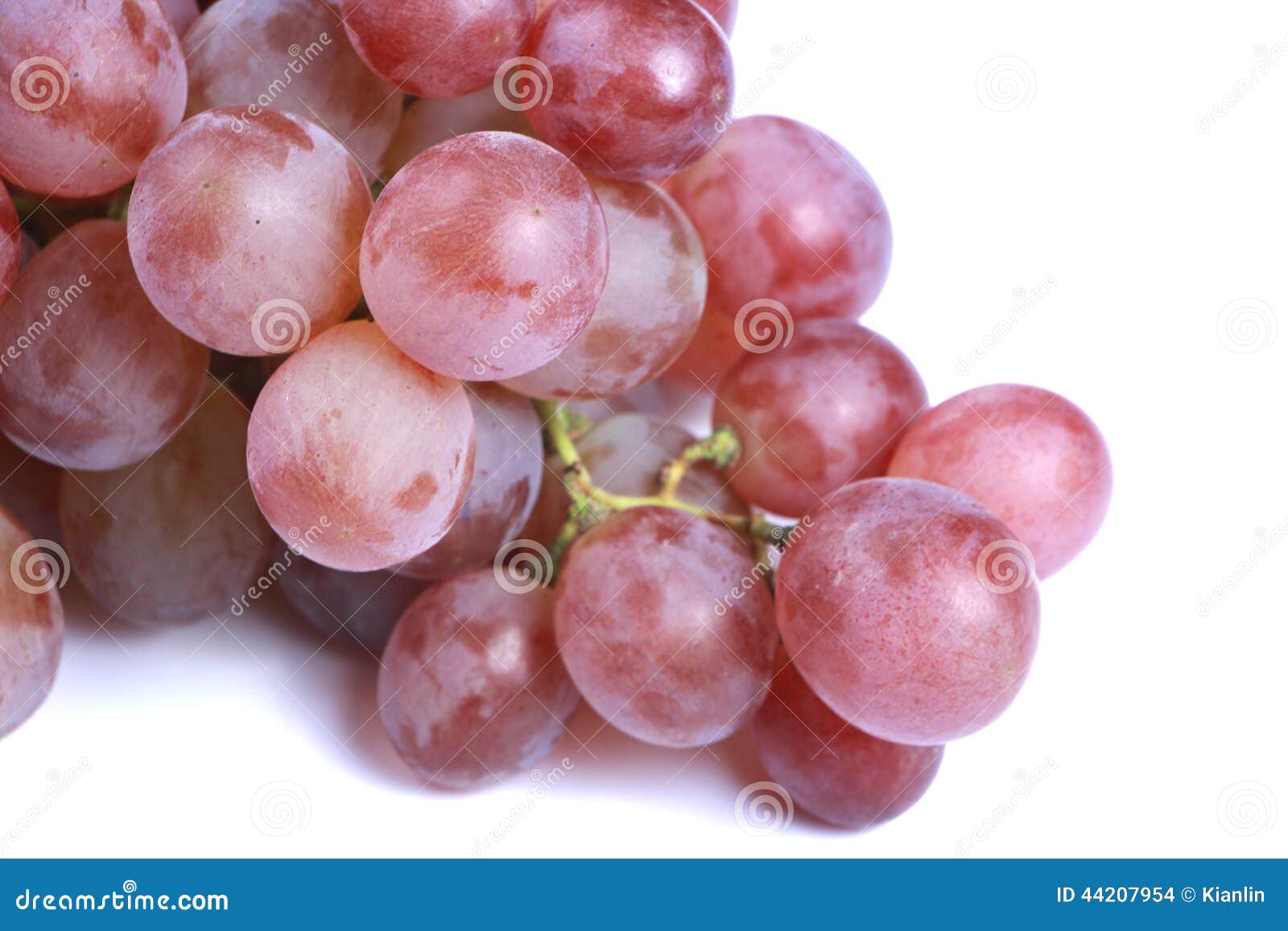 Juicy Red Grape Closeup stock photo. Image of gourmet - 44207954