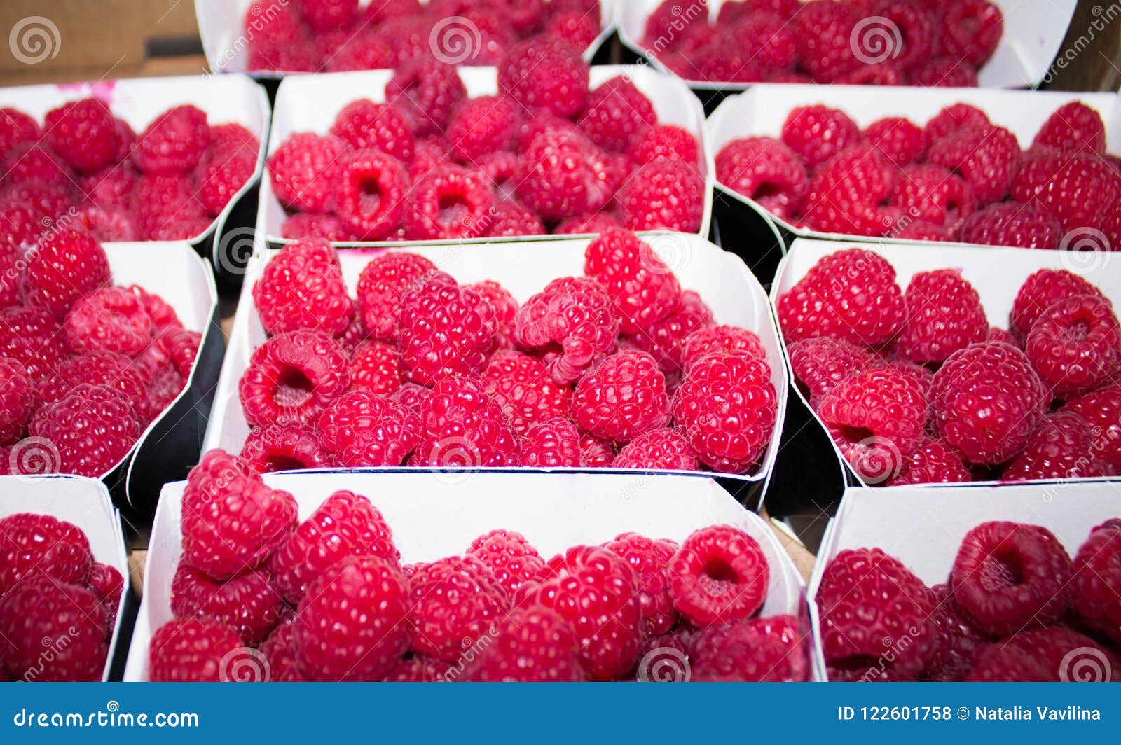 Juicy Red Raspberry Berry in Paper Portion Boxes Stock Photo - Image of ...