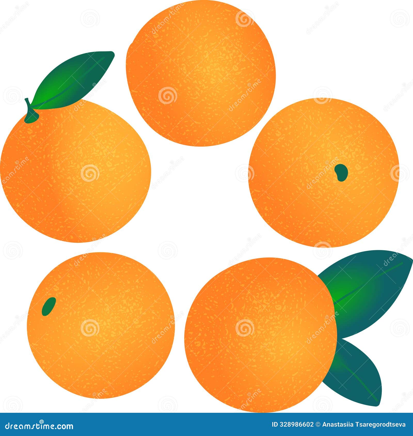 Juicy and Ripe Orange Oranges from Different Angles. Stock Illustration ...