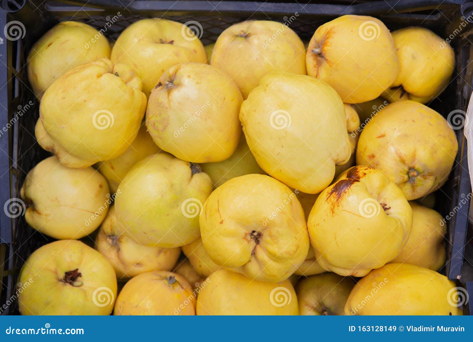 Juicy Ripe Quince in a Box Close-up Stock Image - Image of fall, nature ...