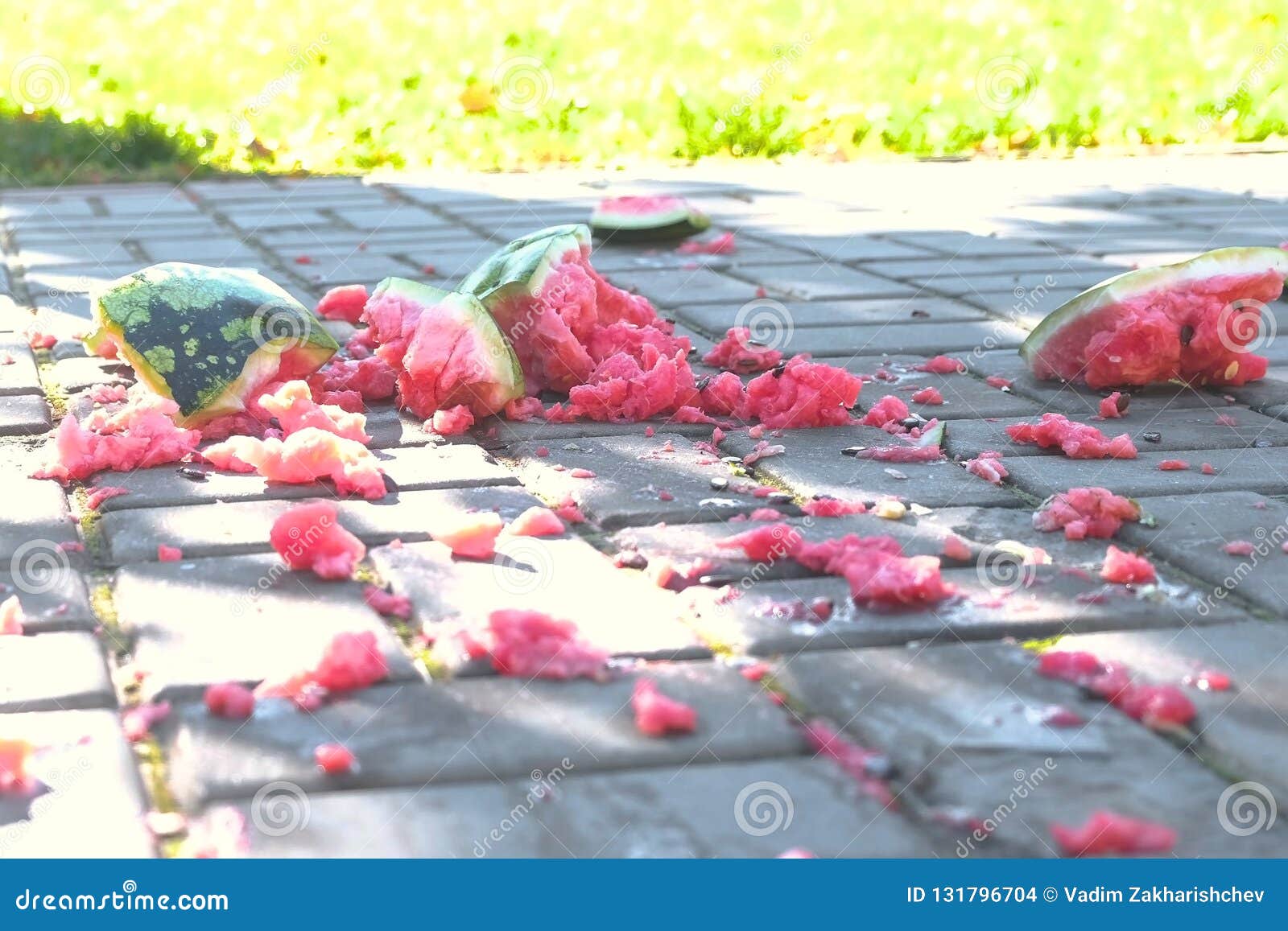 Juicy Smashed Watermelon Broken on Paving Slabs. Pieces of Watermelon ...