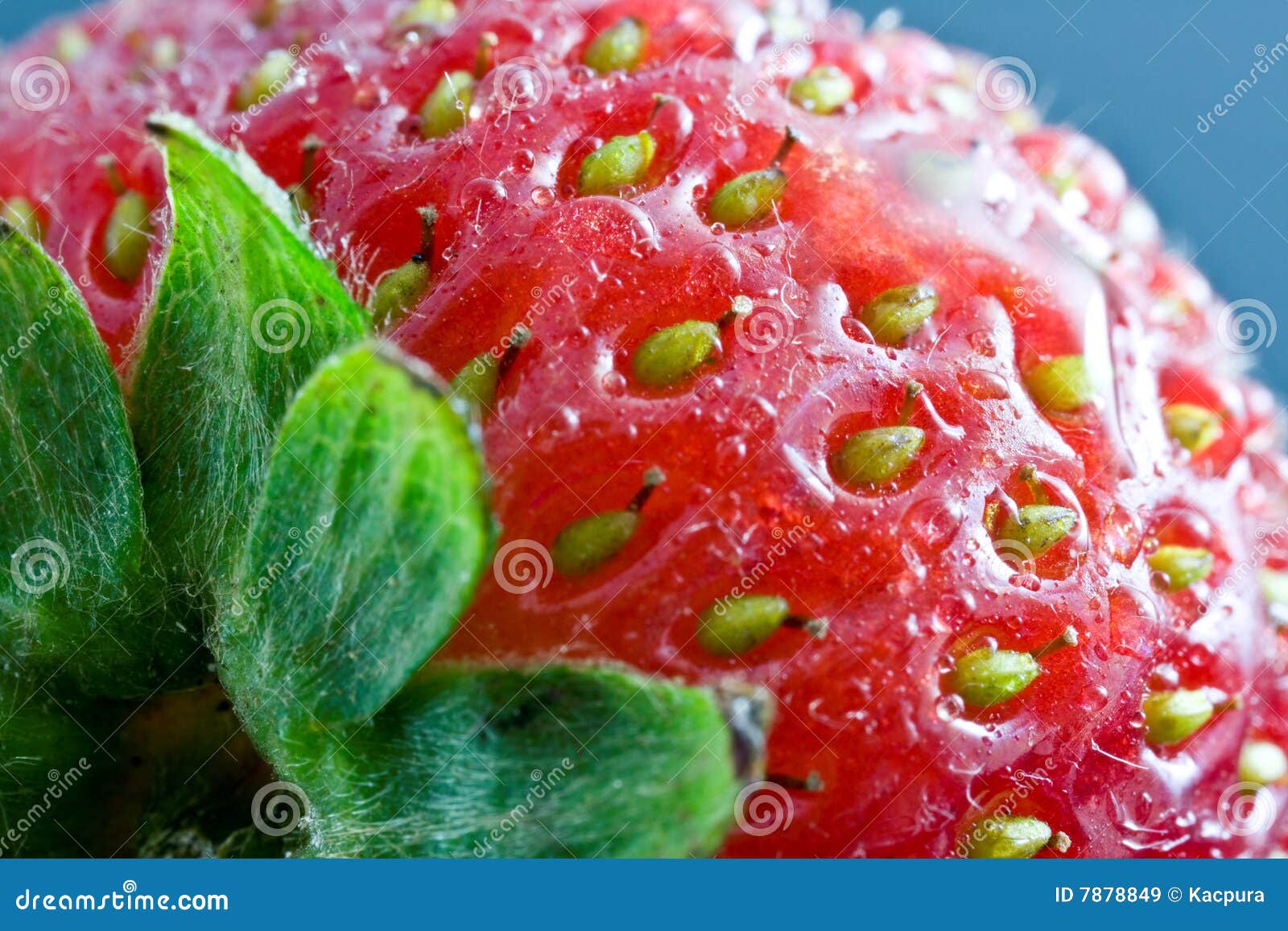 Juicy Strawberry stock image. Image of juicy, macro, berry - 7878849