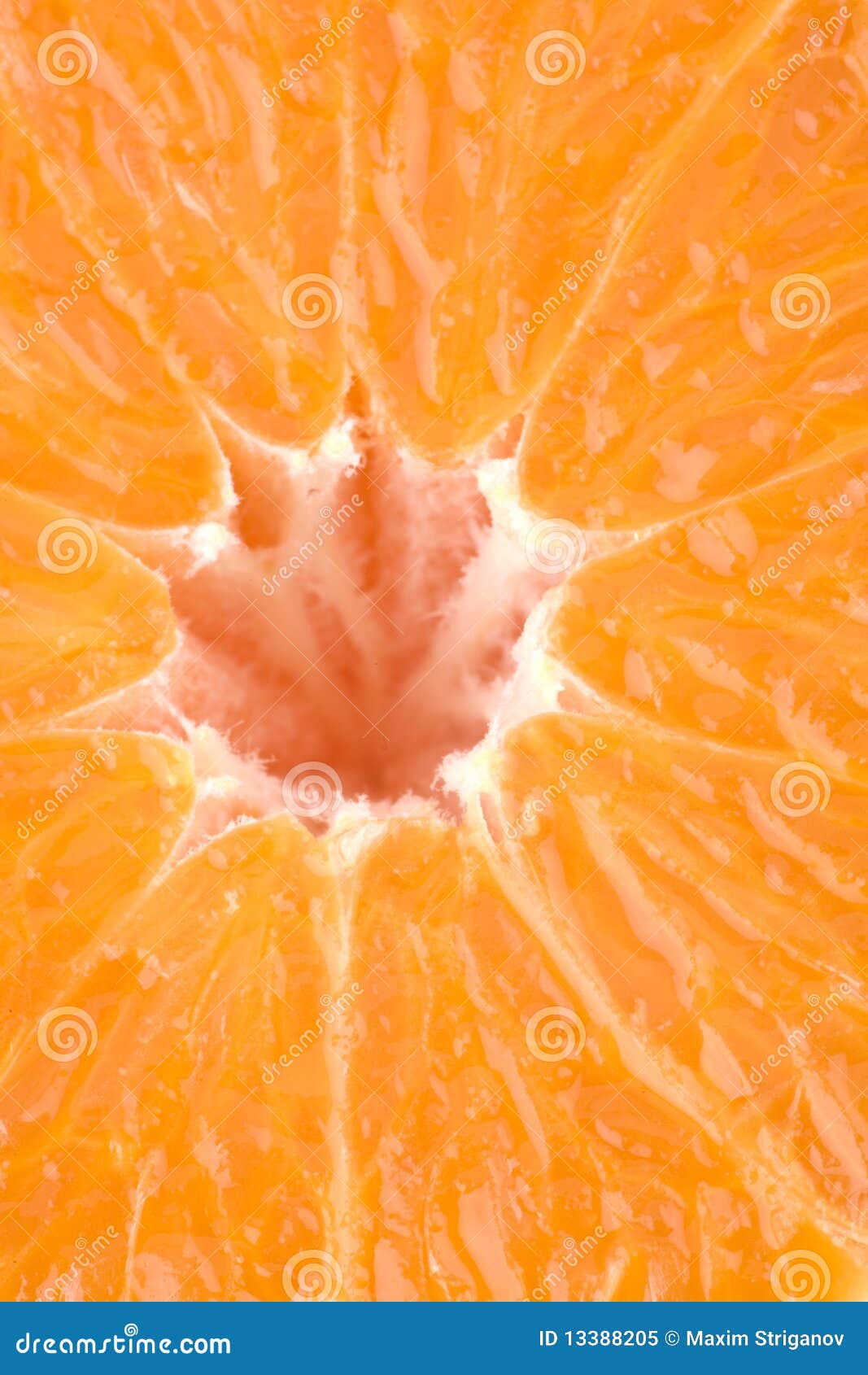 Juicy Structure of an Orange Stock Image - Image of portion, background ...
