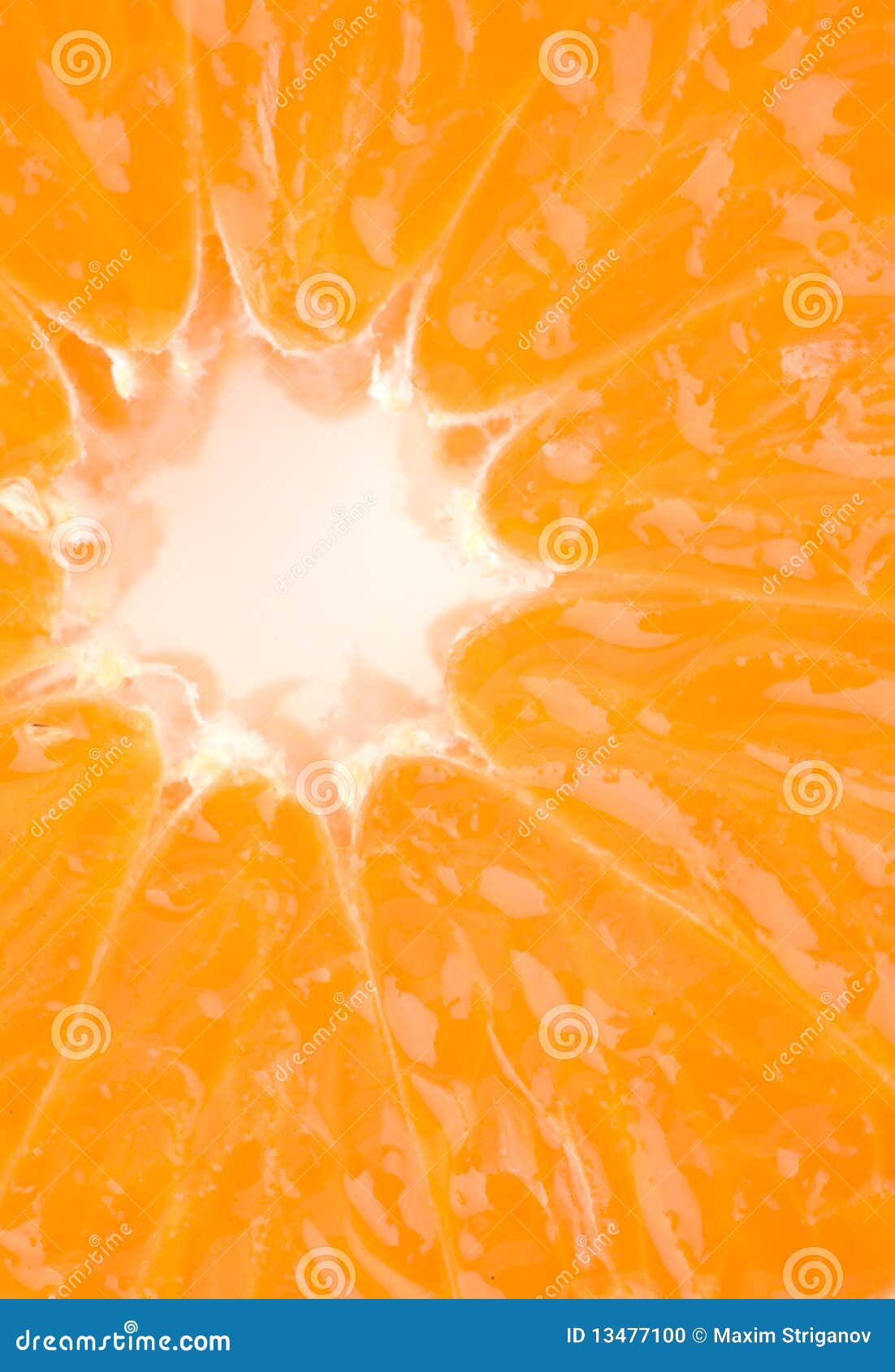 Juicy Structure of an Orange Stock Photo - Image of white, healthy ...