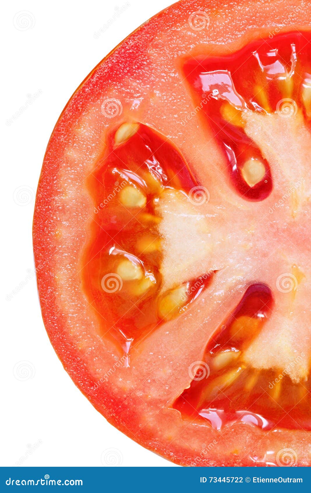 Juicy Tomato inside. stock photo. Image of fresh, white - 73445722
