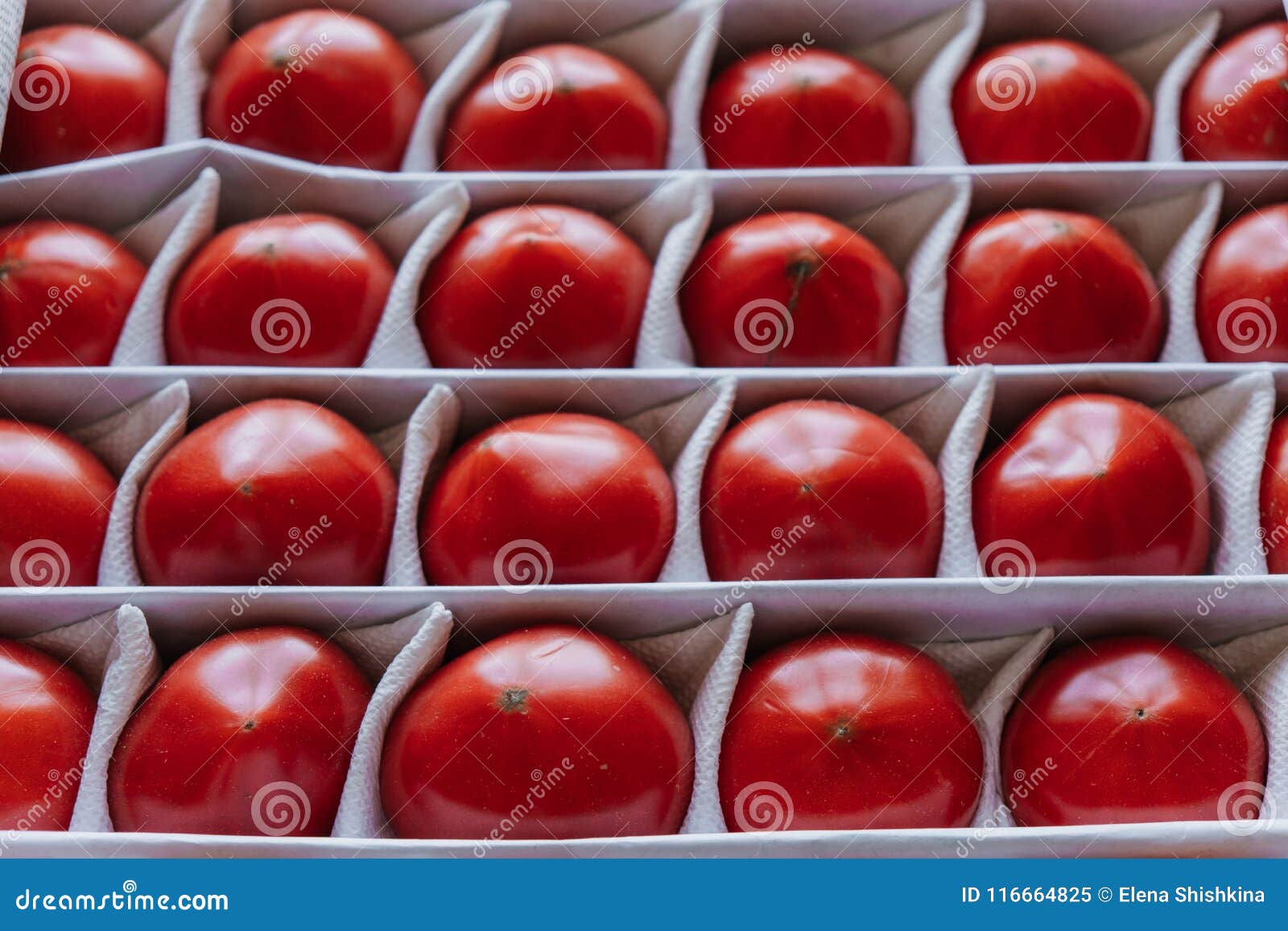 Juicy Tomatoes in a Box, Fruits Lie Separately Stock Image - Image of ...
