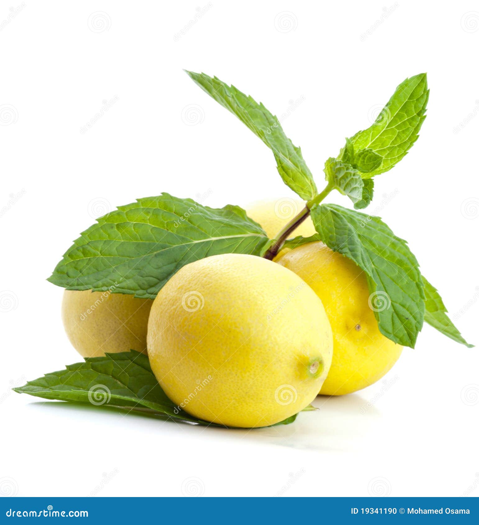 Juicy Tropical Lemon stock photo. Image of face, dieting - 19341190