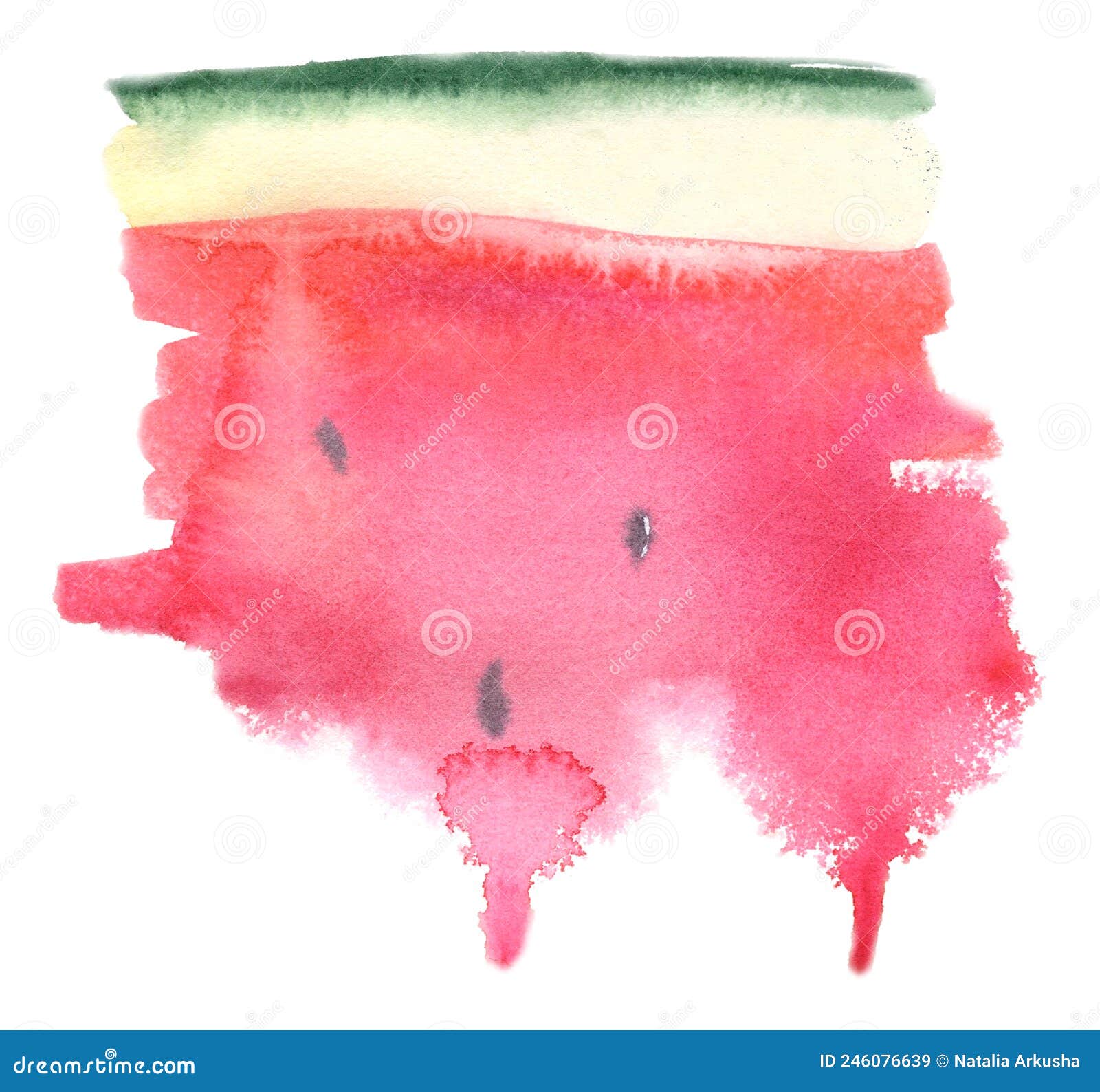 Juicy Watermelon Texture Hand Painted in Watercolor Stock Illustration ...