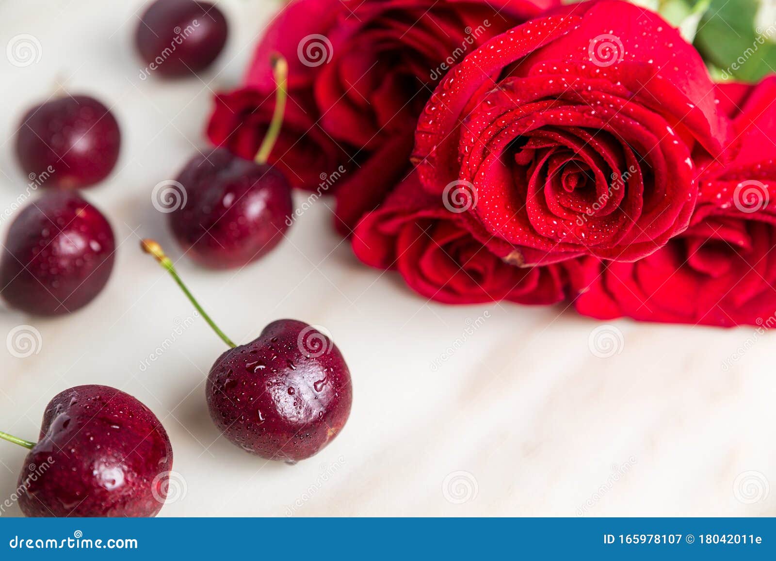 Juicy Wet Red Cherries and Fresh Red Roses on White Marble Table ...