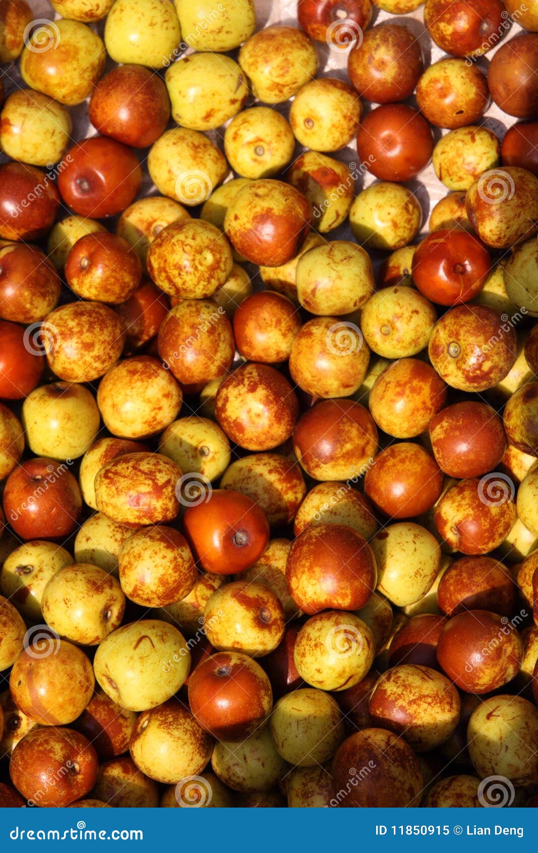 Jujuba imagem de stock. Imagem de seco, esfera, jujuba - 11850915