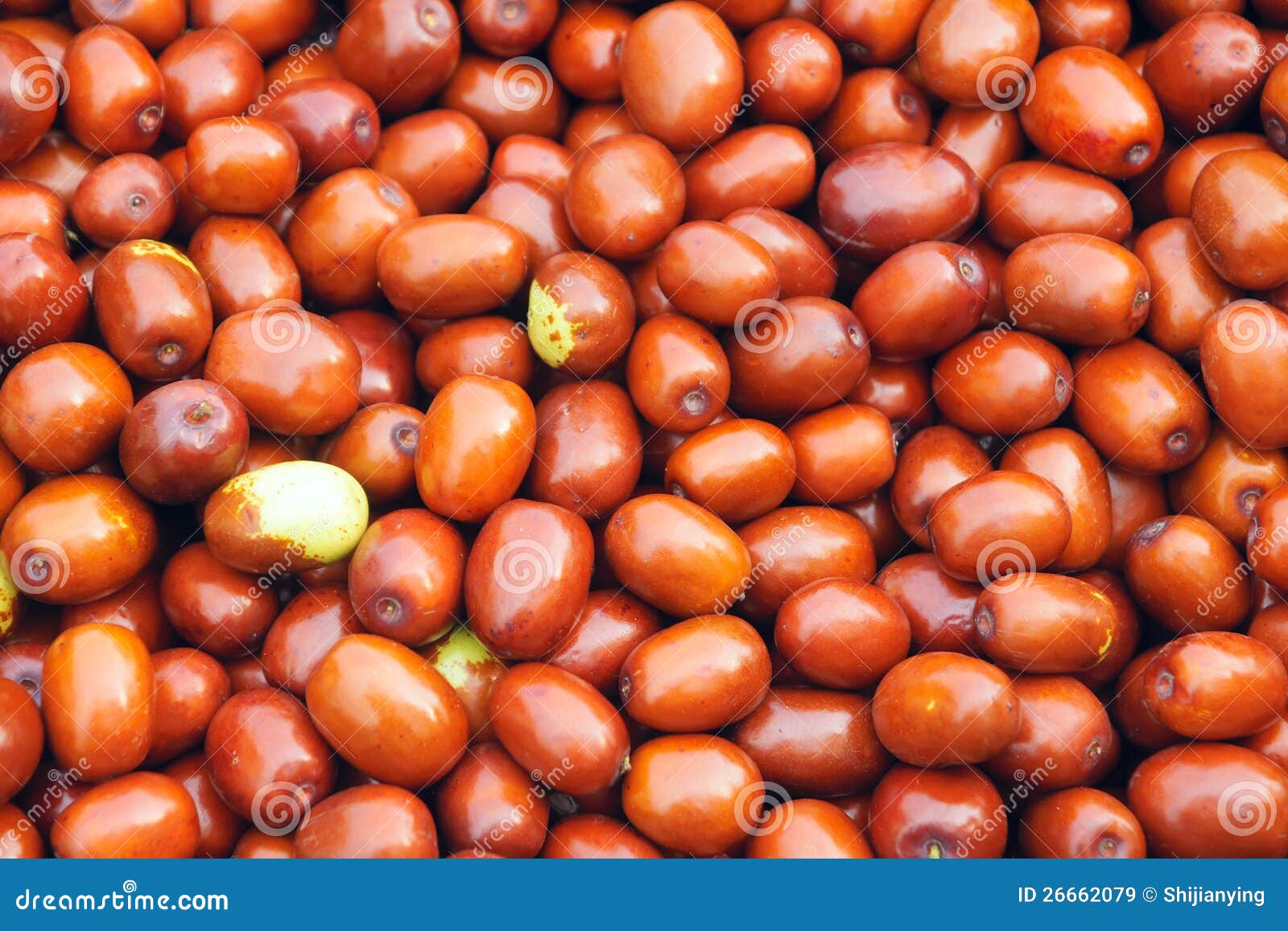 Jujube stock image. Image of jujube, eatable, eating - 26662079