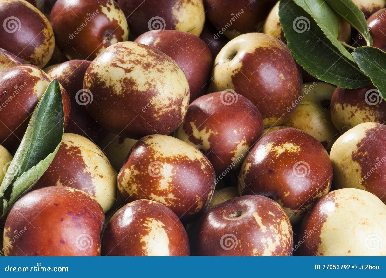 Jujube stock photo. Image of agriculture, brown, china - 27053792