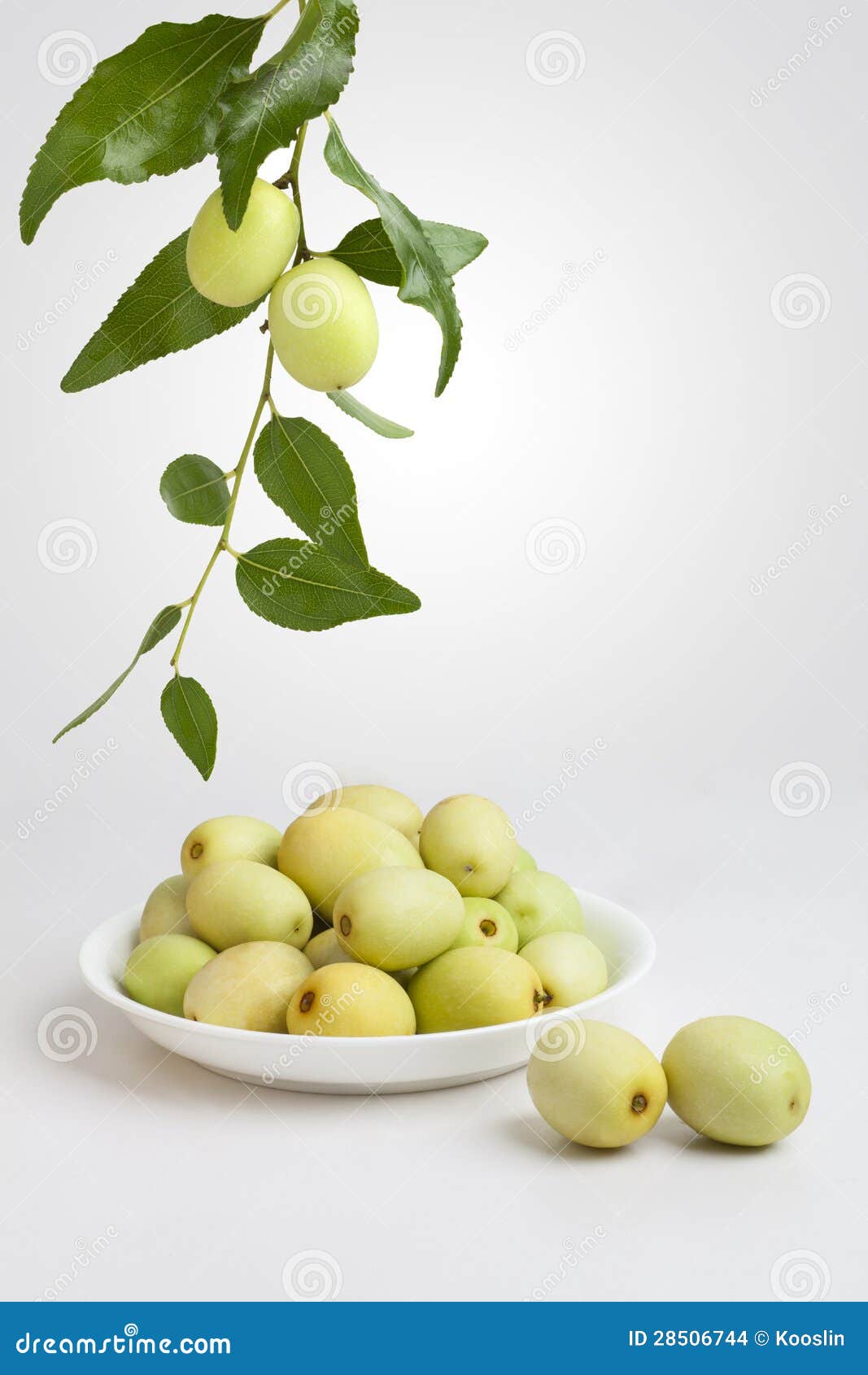 Jujube stock photo. Image of jujube, isolated, background - 28506744