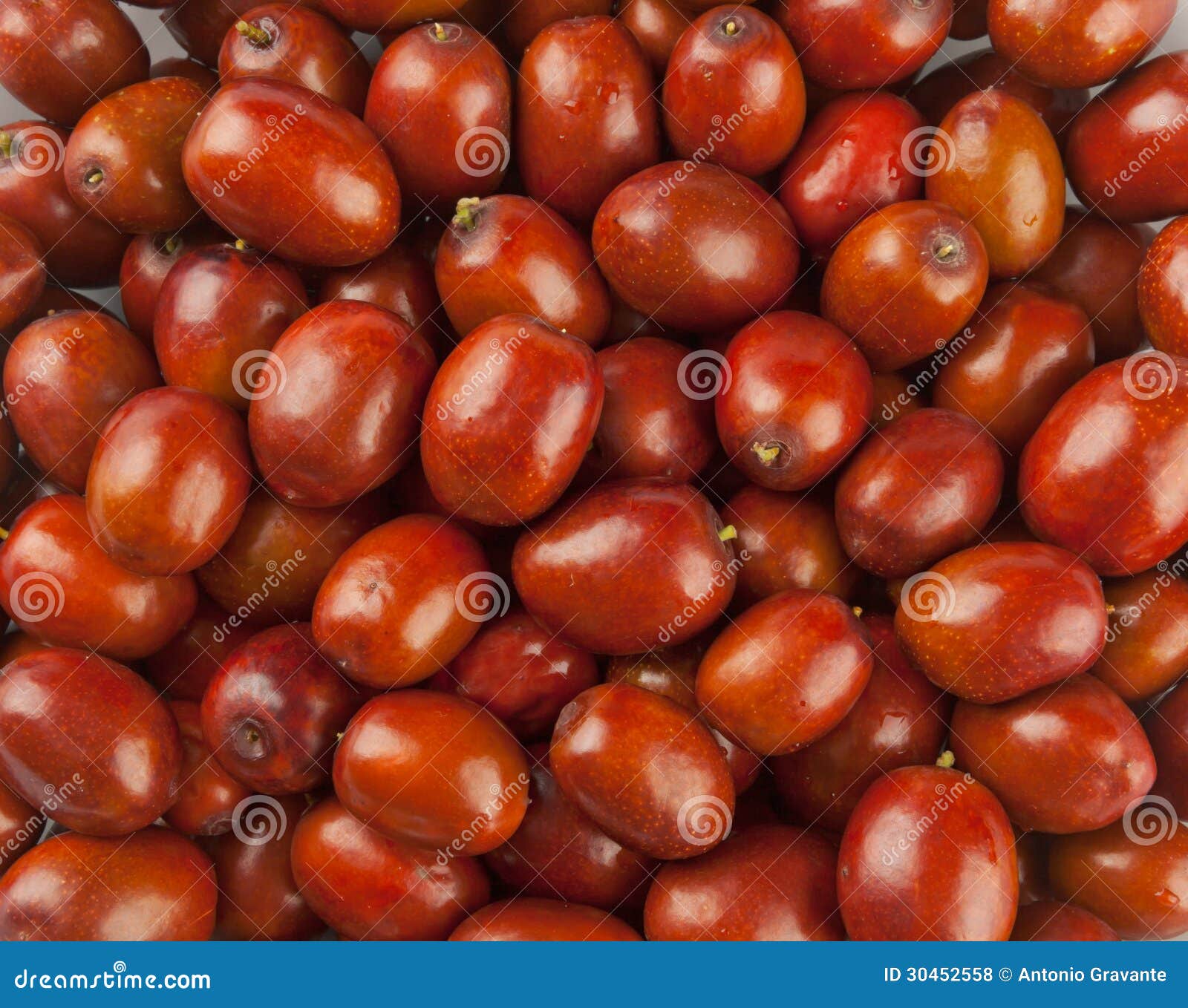 Jujube berries stock photo. Image of indian, common, brown - 30452558