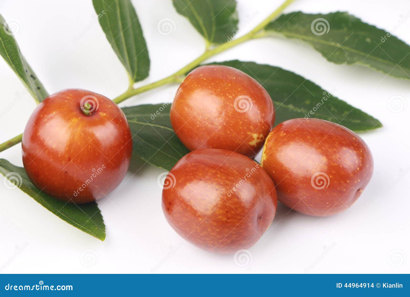 Jujube stock photo. Image of jujube, ripe, meal, healthy - 44964914