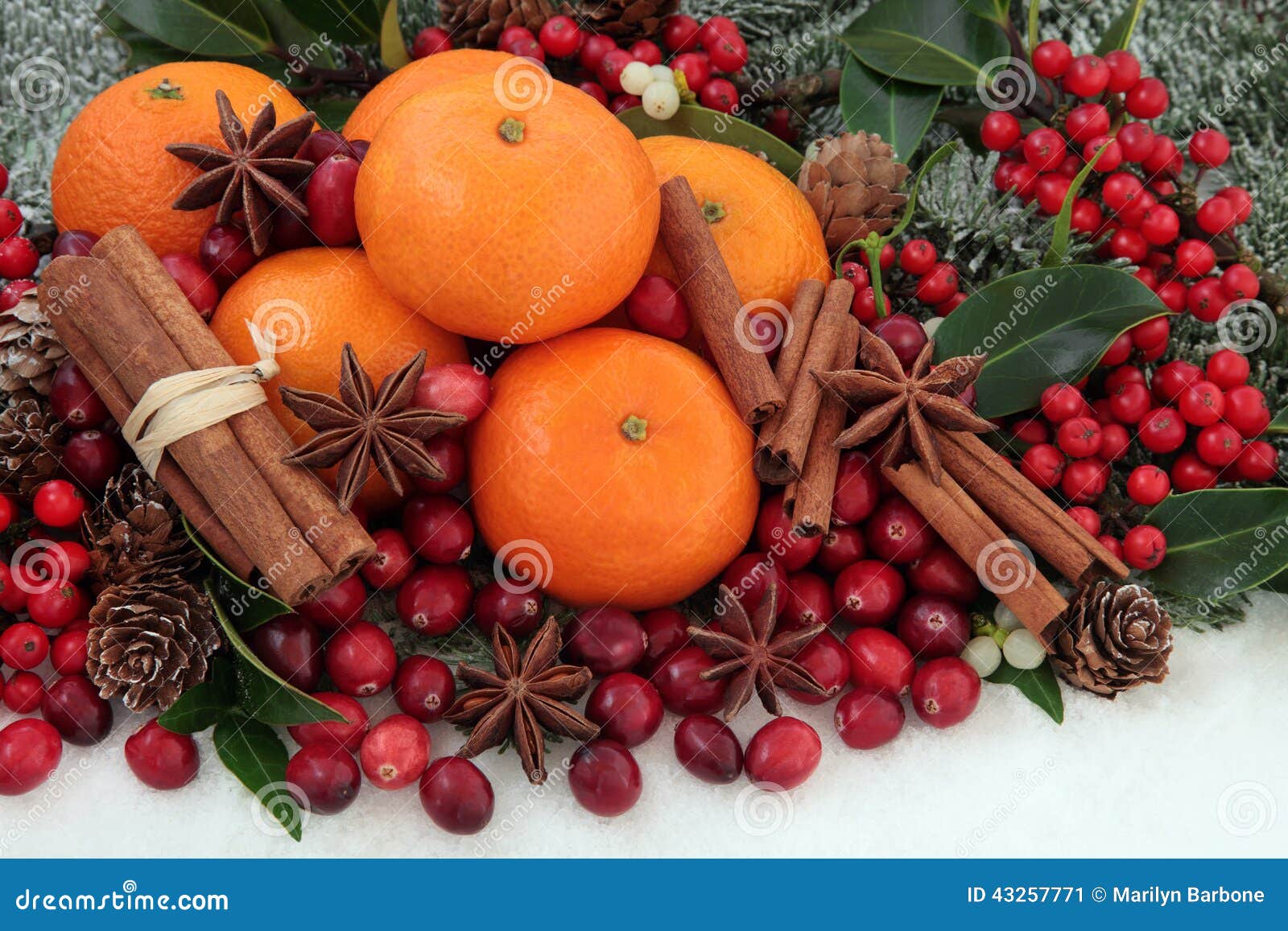 Jul frukt och krydda fotografering för bildbyråer. Bild av bär - 43257771