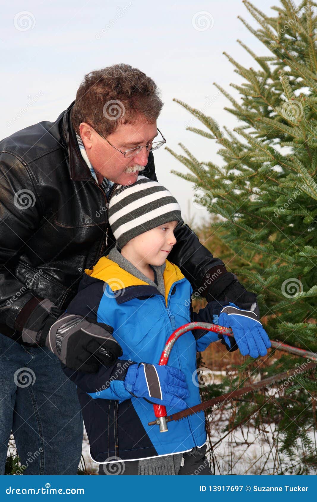 Jul Som Klipper Hans Mansontree Fotografering för Bildbyråer - Bild av ...