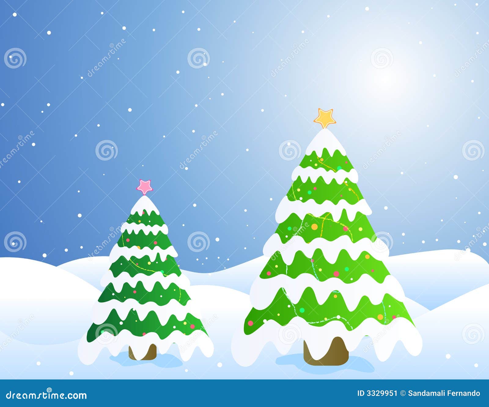 Julgranar/kort Bild. Bild: 3329951