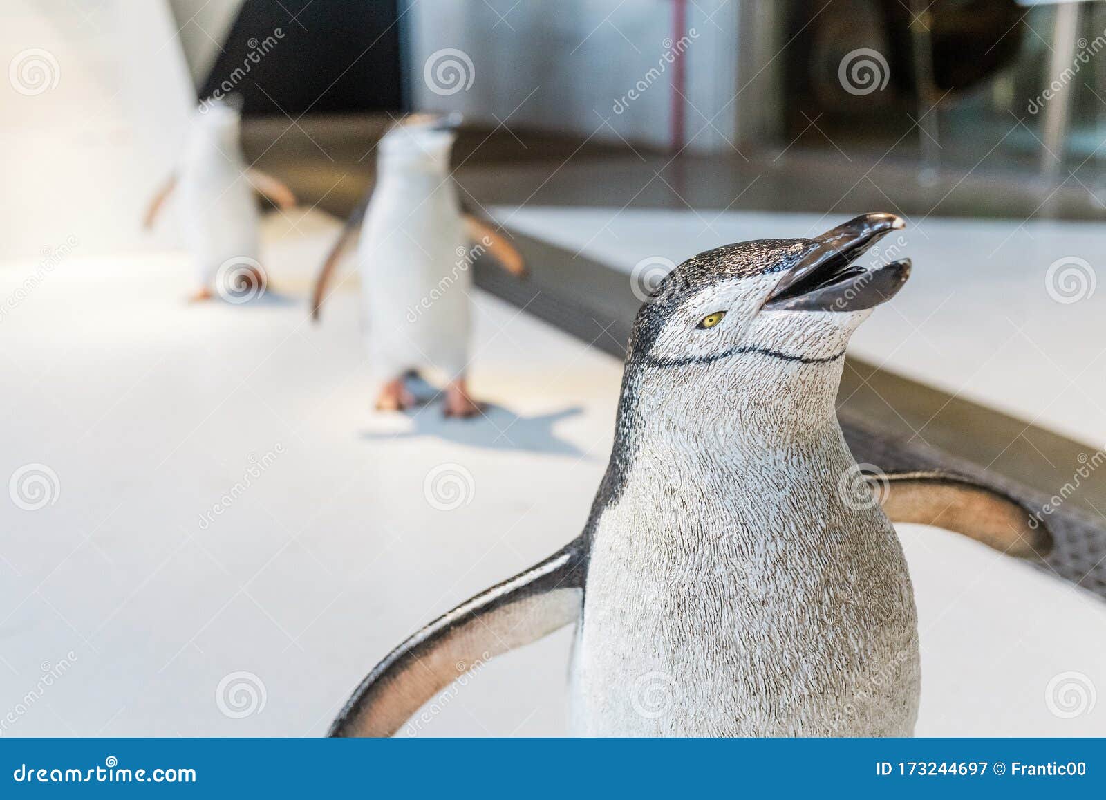 Penguin figures in museum editorial photography. Image of museum ...